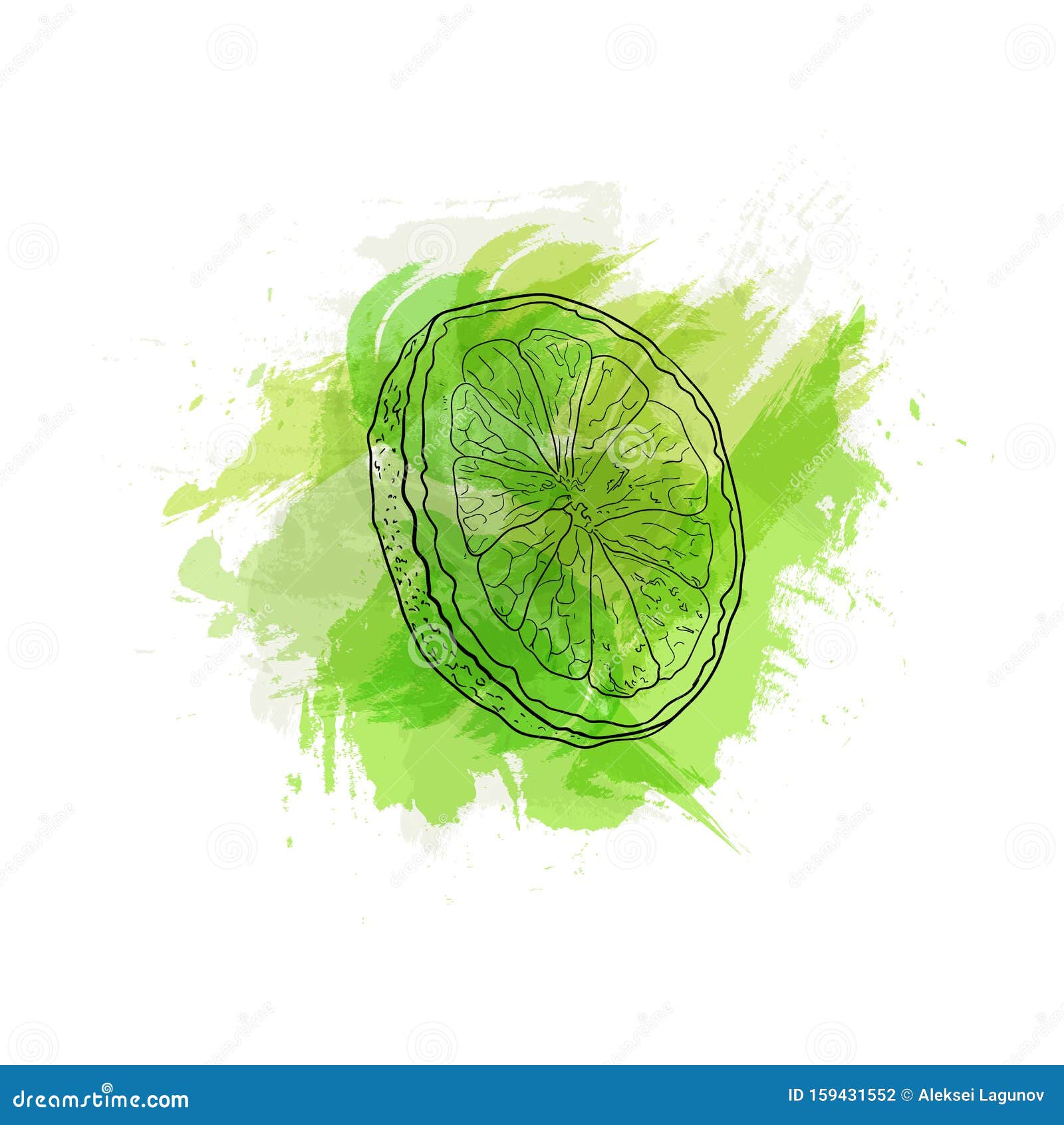 Vector Hand Drawn Lime on Bright Green Watercolor Splash Background ...