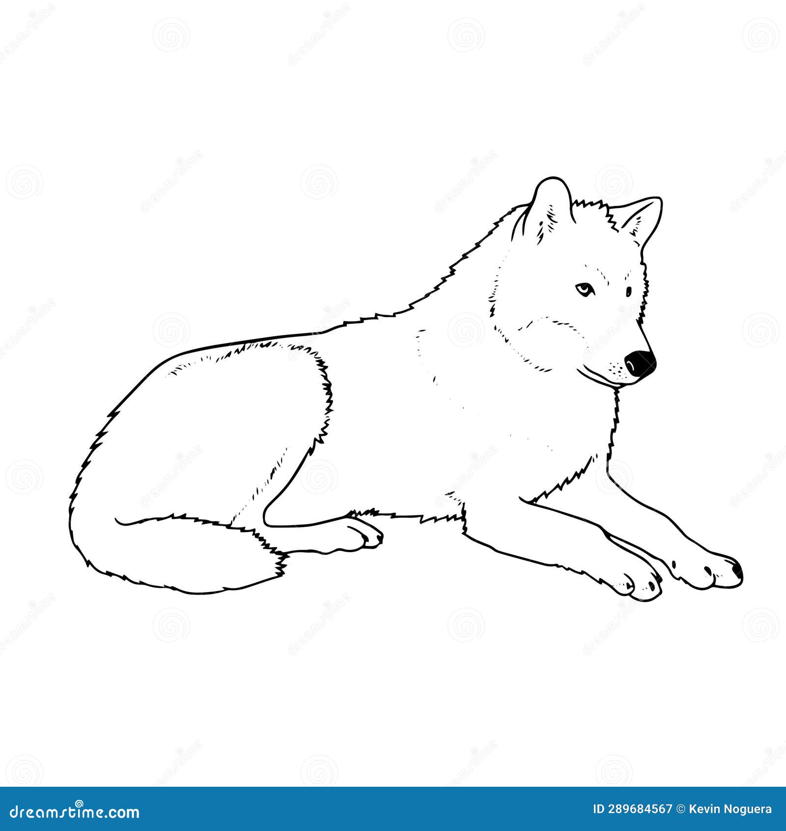 Wolf Outline Portrait, Sketch For Your Design Cartoon Vector ...