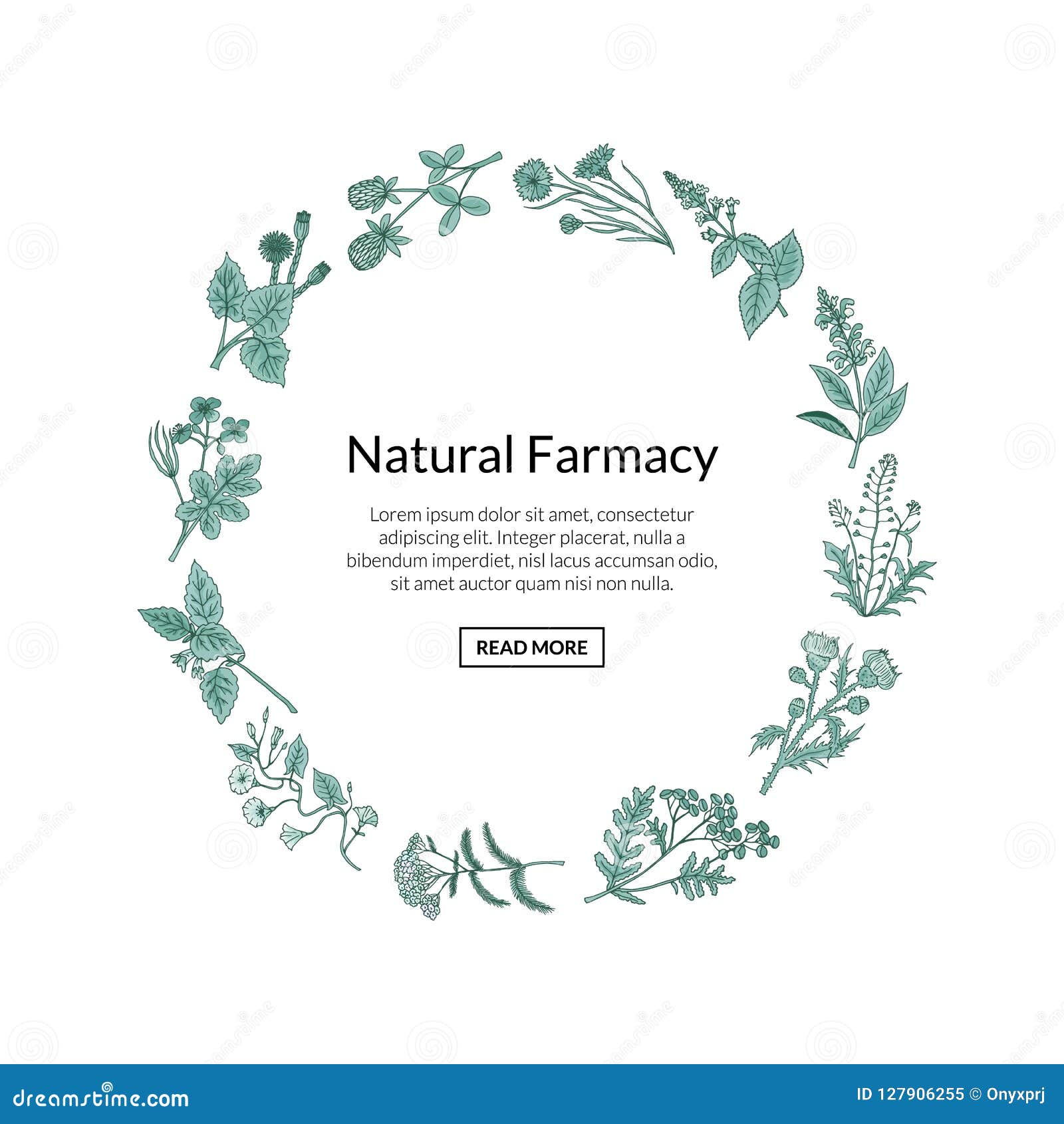 Vector Hand Drawn Medical Herbs Stock Vector - Illustration of forest ...