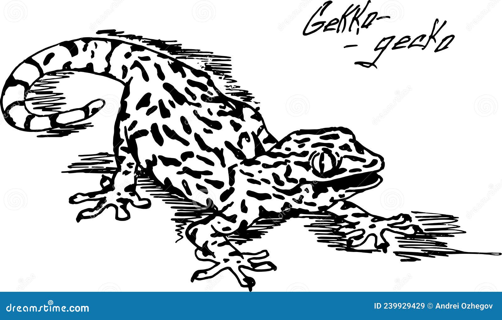 Vector Hand Drawn Monochrome Illustration of Gecko Lizard Stock Vector ...