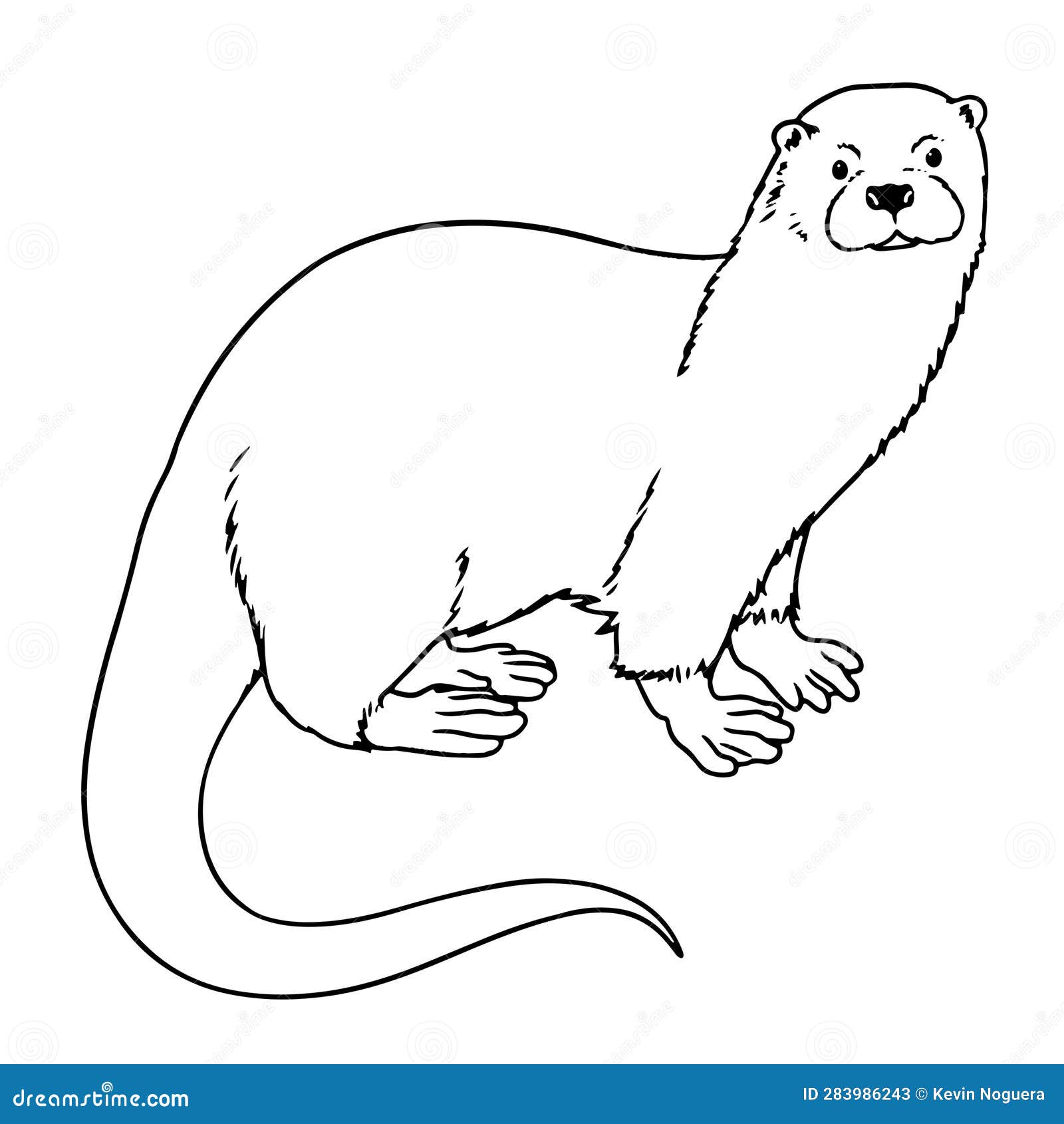 Outline Otter Vector Icon. Isolated Black Simple Line Element ...