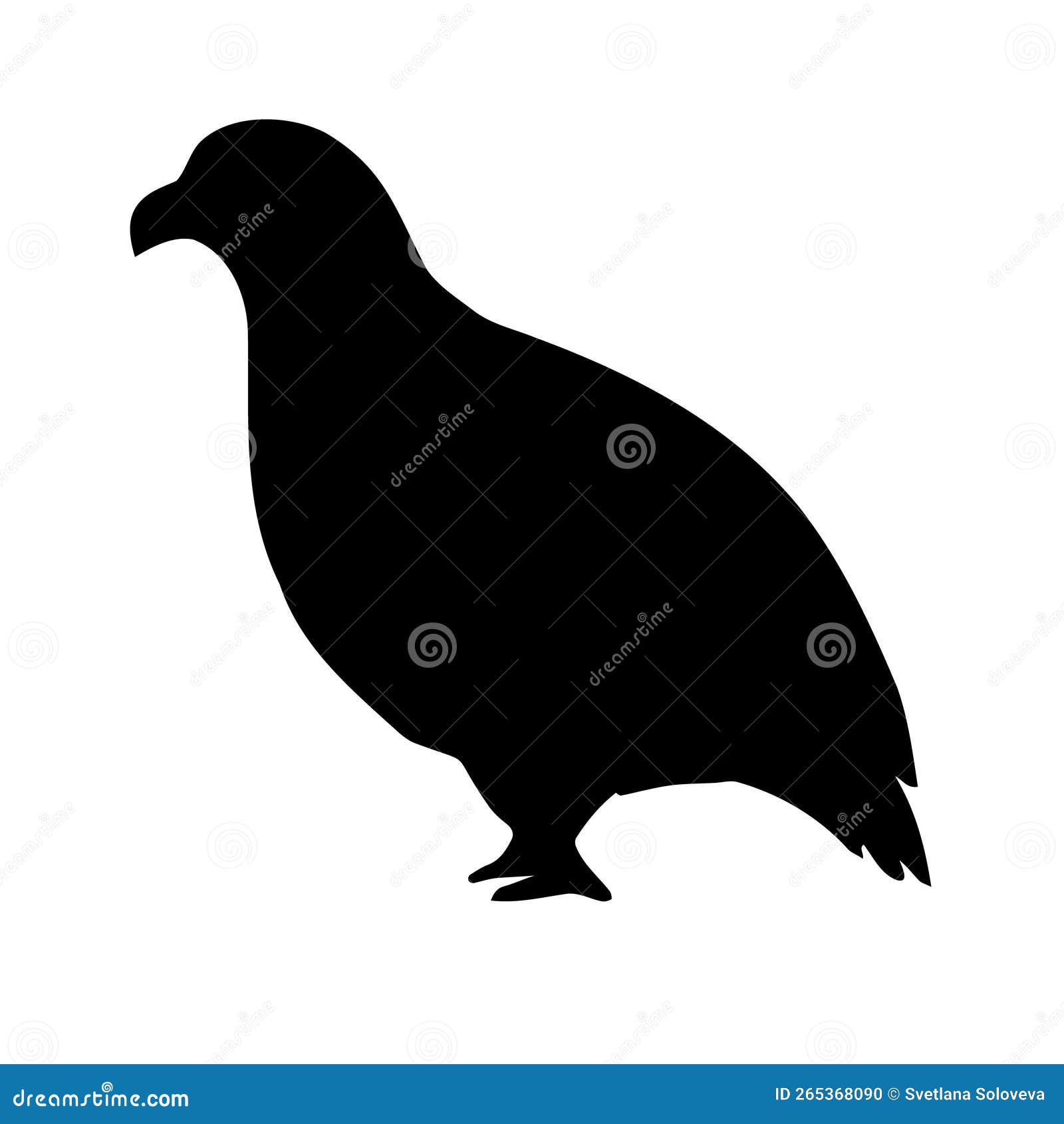 Vector Hand Drawn Partridge Bird Silhouette | CartoonDealer.com #265368090