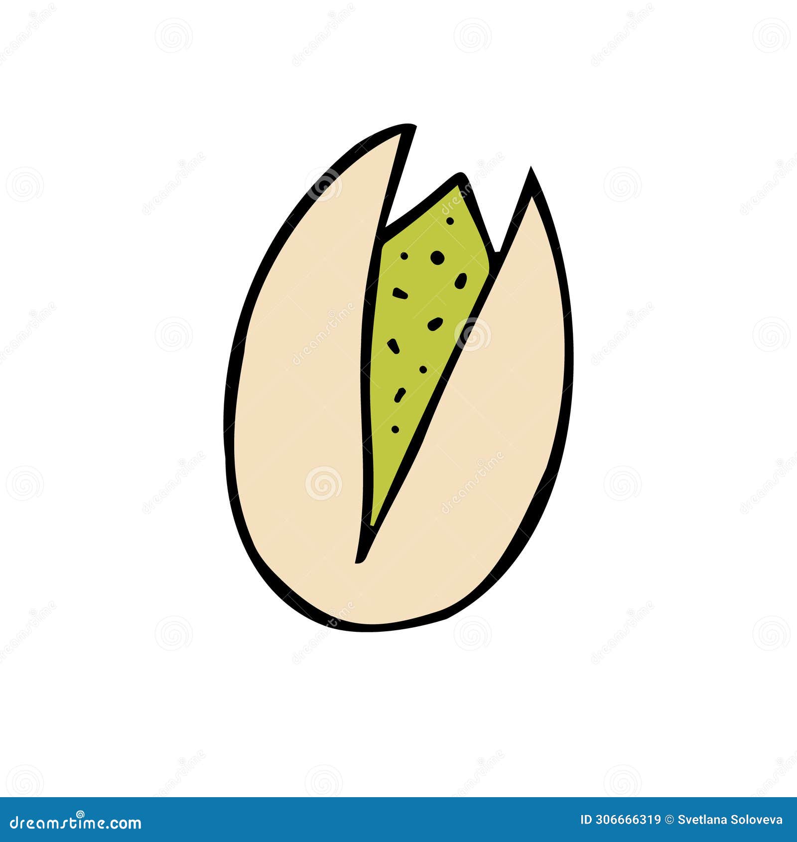 Colored Pistachio Tree Branch And Unpainted Outlined Sketch Of Pistache ...