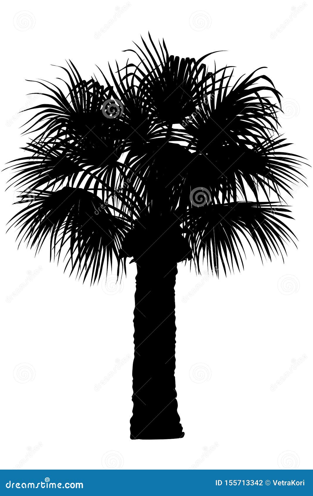 Sabal Palm Cabbage-palm, Palmetto, Cabbage, Blue, Carolina Or Common ...