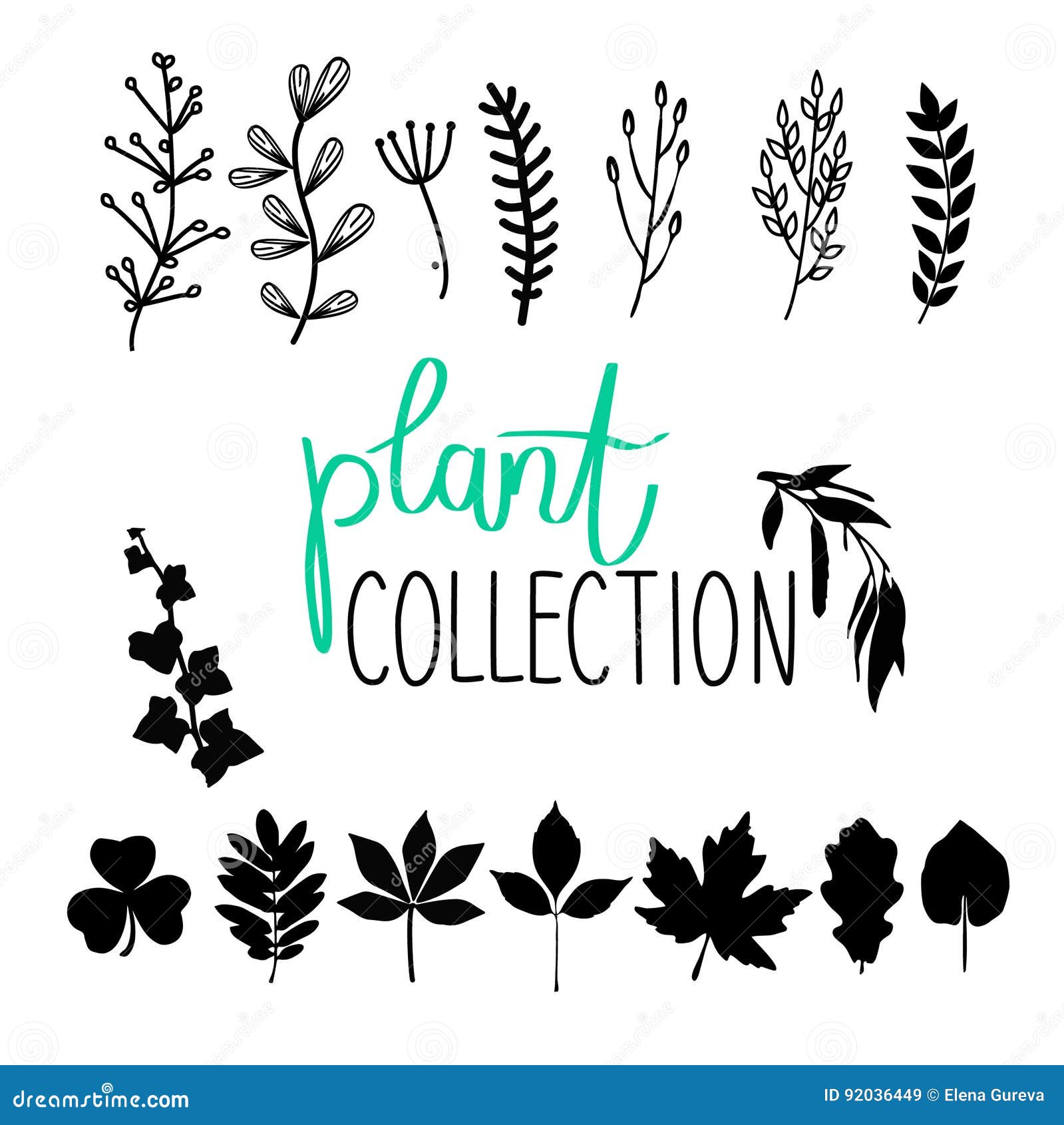 Vector Hand Drawn Plant Collection. Stock Vector - Illustration of ...