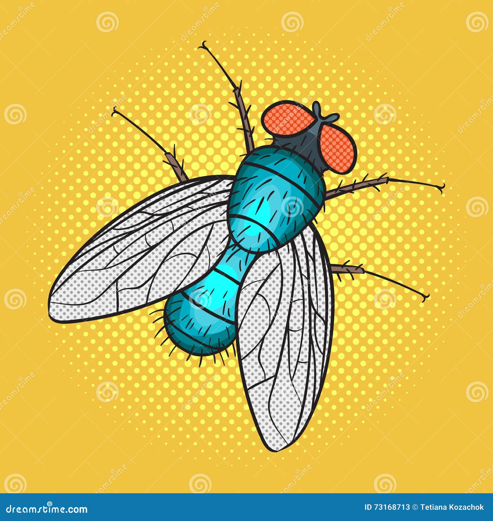 Vector Hand Drawn Pop Art Illustration of Fly. Stock Vector ...