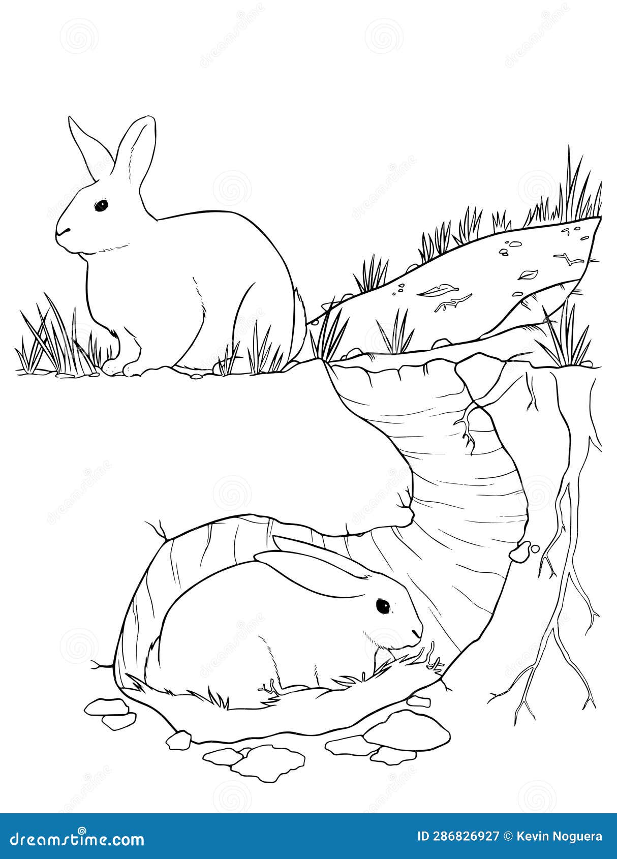 Vector Hand Drawn Rabbit Hole Outline Illustration for Coloring Stock ...