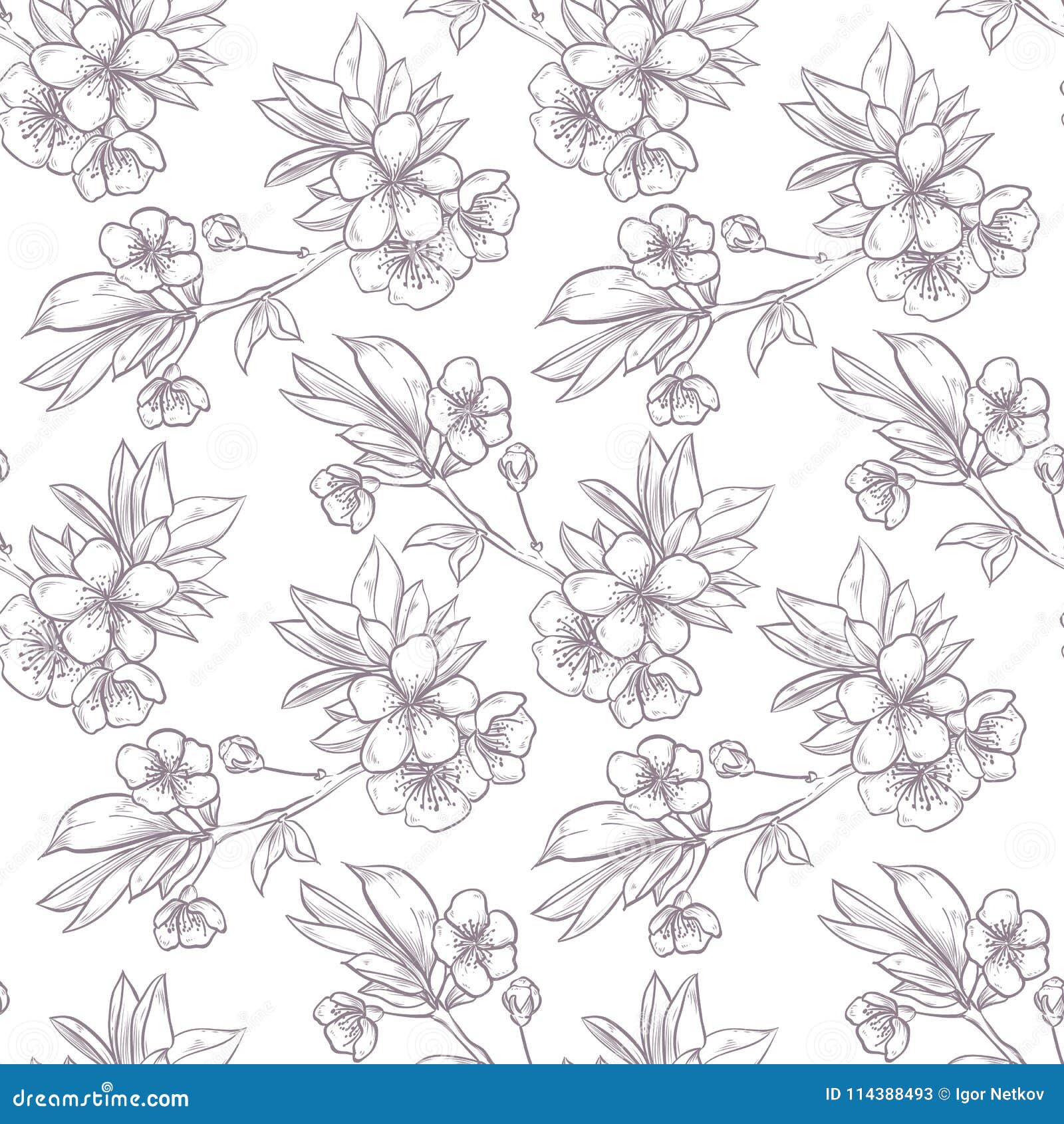 Vector Hand Drawn Sakura Seamless Pattern Stock Vector - Illustration ...
