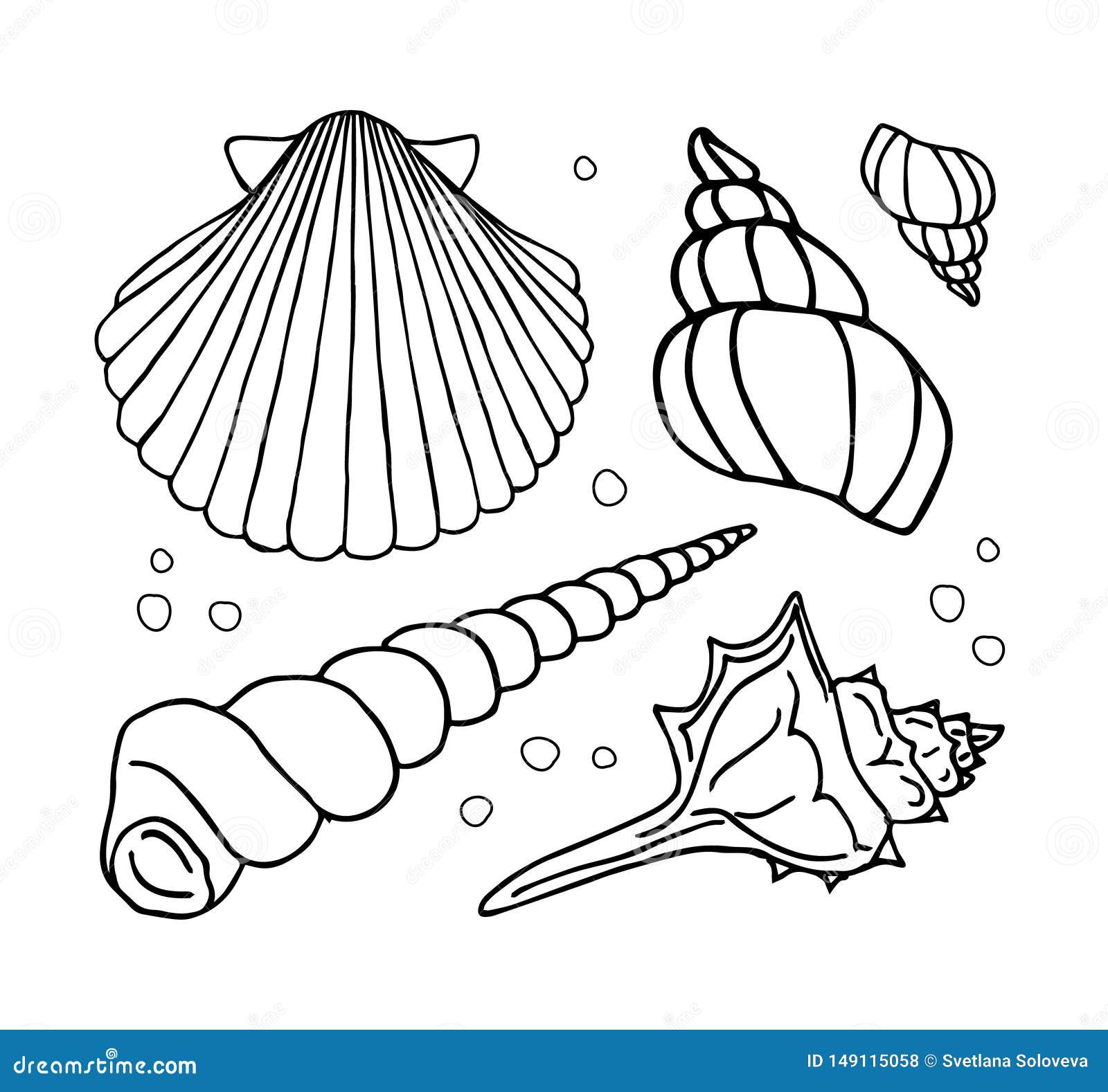 Vector Hand Drawn Set of Different Shell on White Stock Vector ...