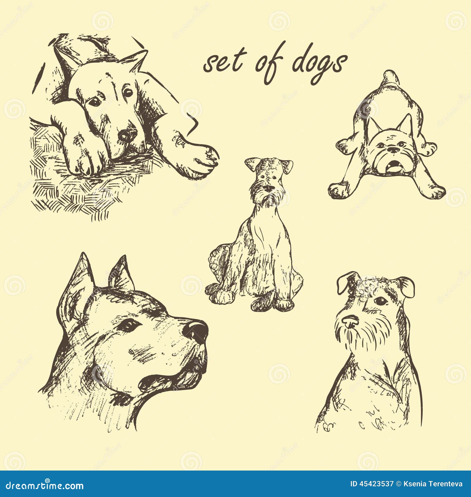 Vector Hand Drawn Set of Dogs Stock Vector - Illustration of breed ...