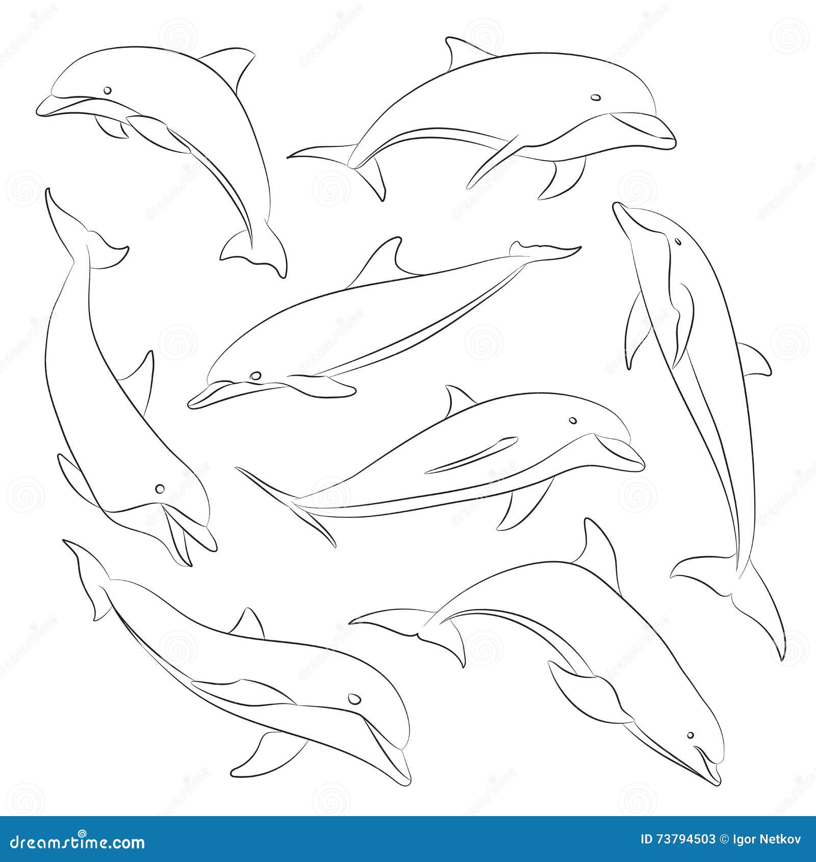Vector Hand Drawn Set of Dolphins Stock Vector - Illustration of cute ...