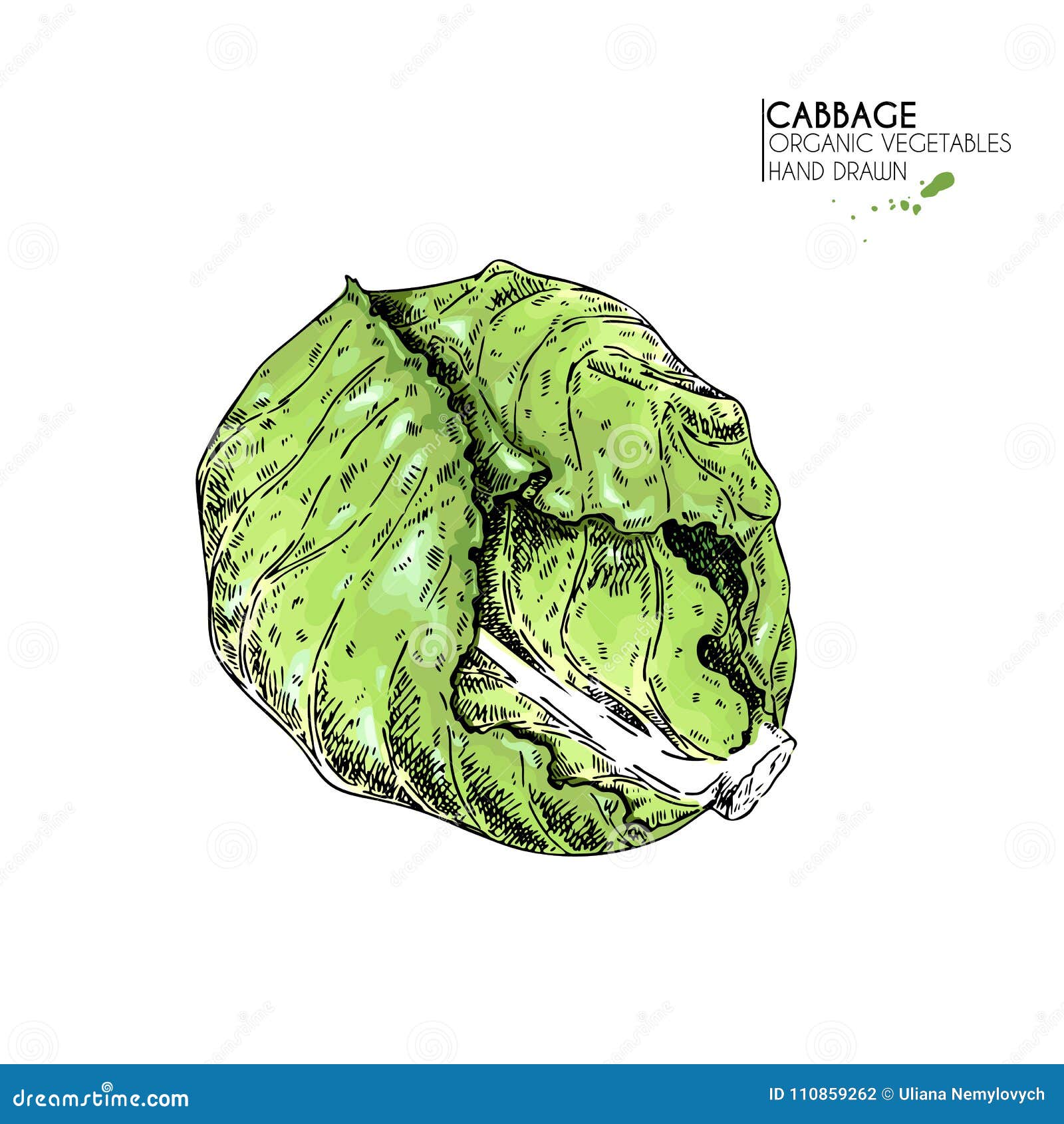 Isolated Cabbage Kimchi In A Jar With Opened Lid On White Background ...