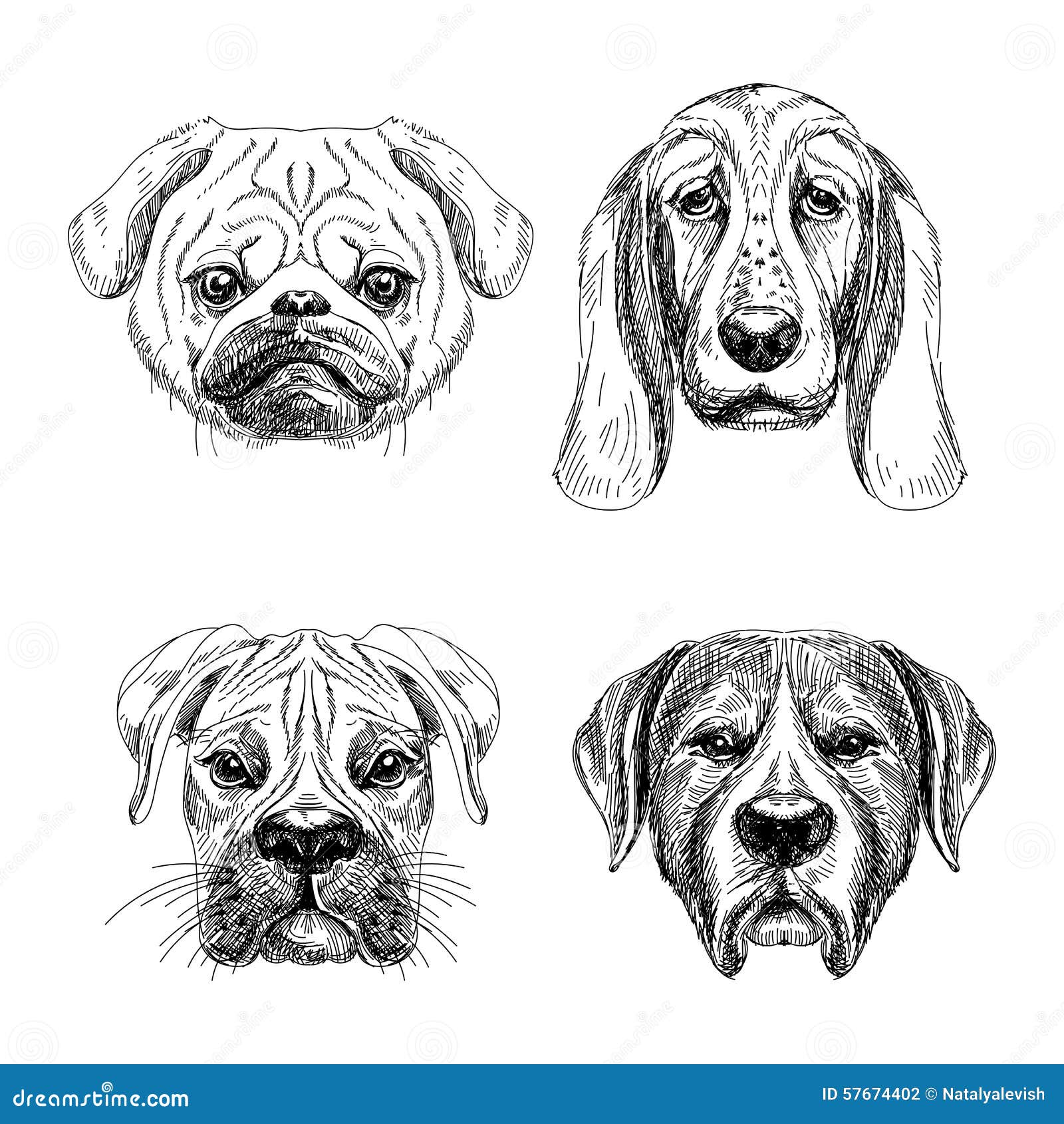 Vector Hand Drawn Set of Four Dog S Faces Stock Vector - Illustration ...