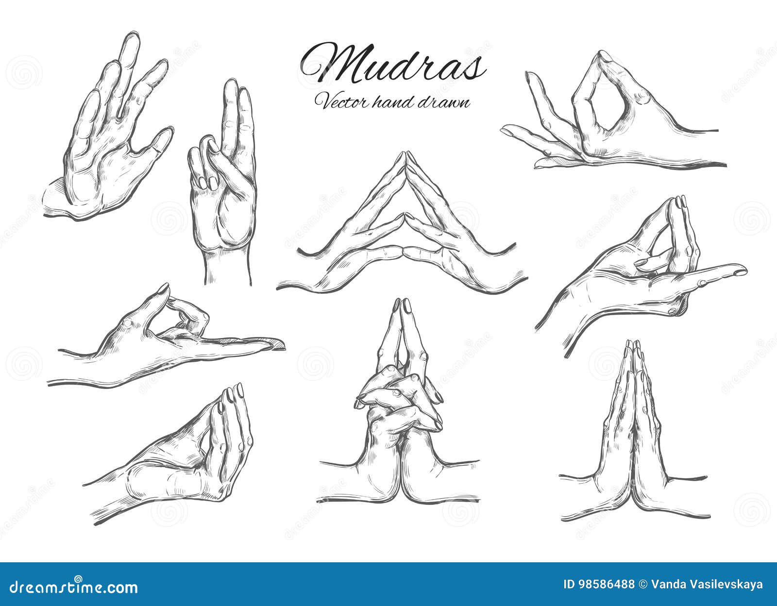 Vector Hand Drawn Set of Indian Mudras. Yoga Stock Vector ... Vector Hand Drawn Set of Indian Mudras. Yoga Stock Vector ...