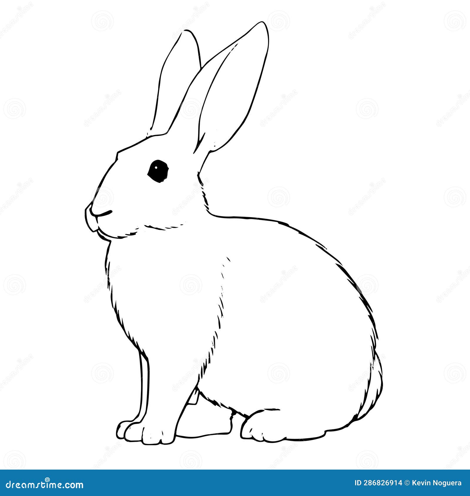 Vector Hand Drawn Sitting Rabbit Outline Illustration Stock ...