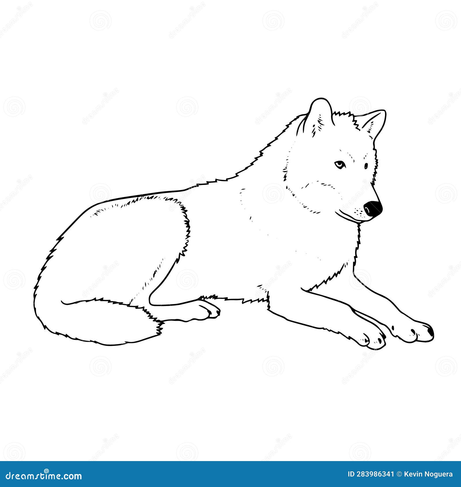 Vector Hand Drawn Sitting Wolf Outline Illustration Stock Vector - Illustration of lines, hand ...