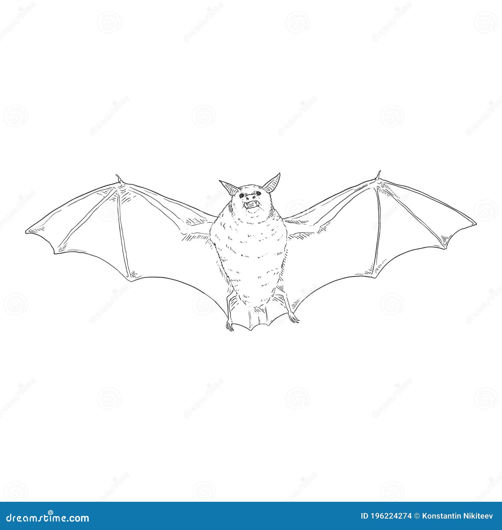 Vector Hand Drawn Sketch Bat Illustration Stock Vector - Illustration ...