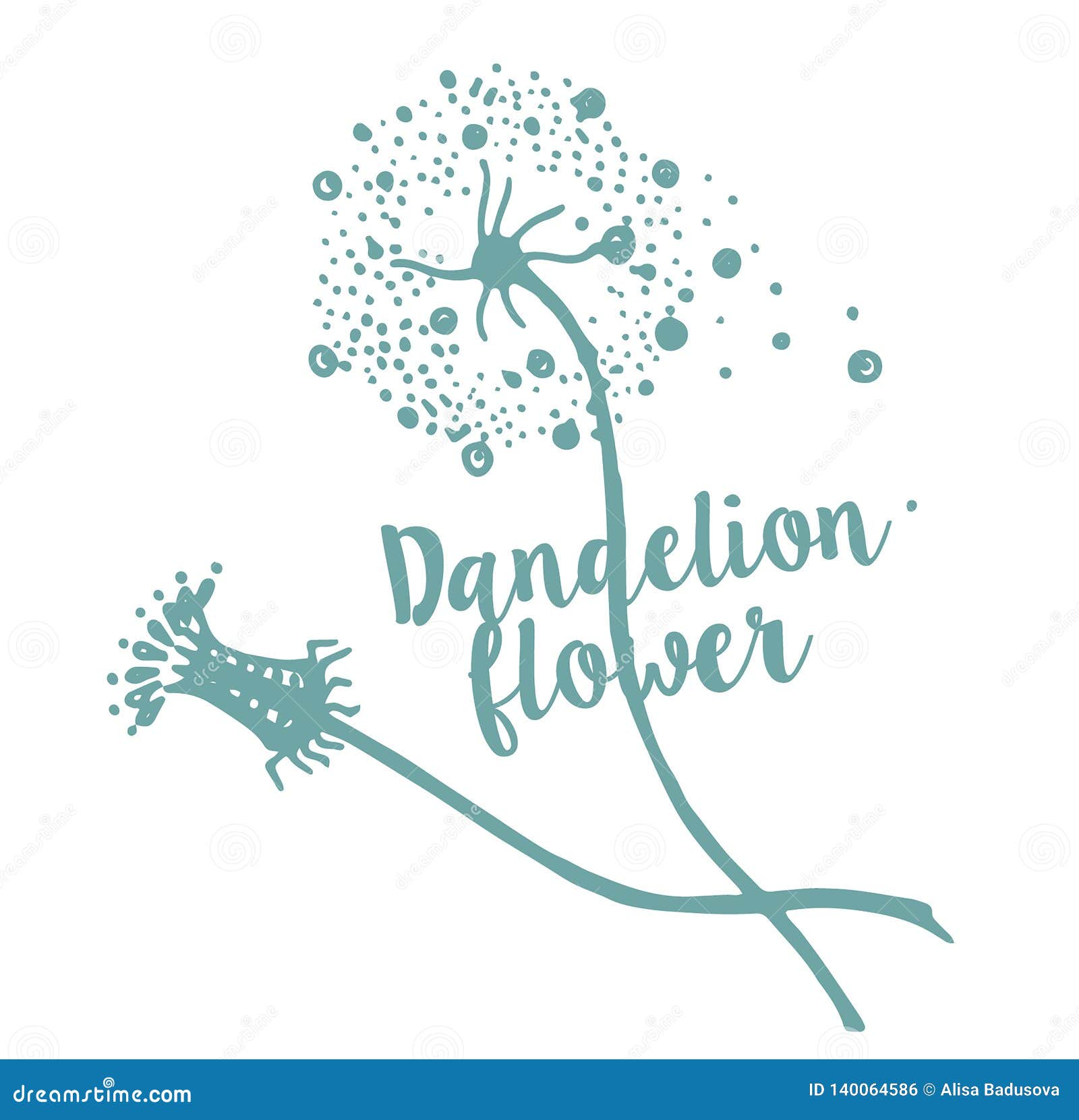 Vector Hand Drawn Sketch of Dandelion Flower Illustration on White ...