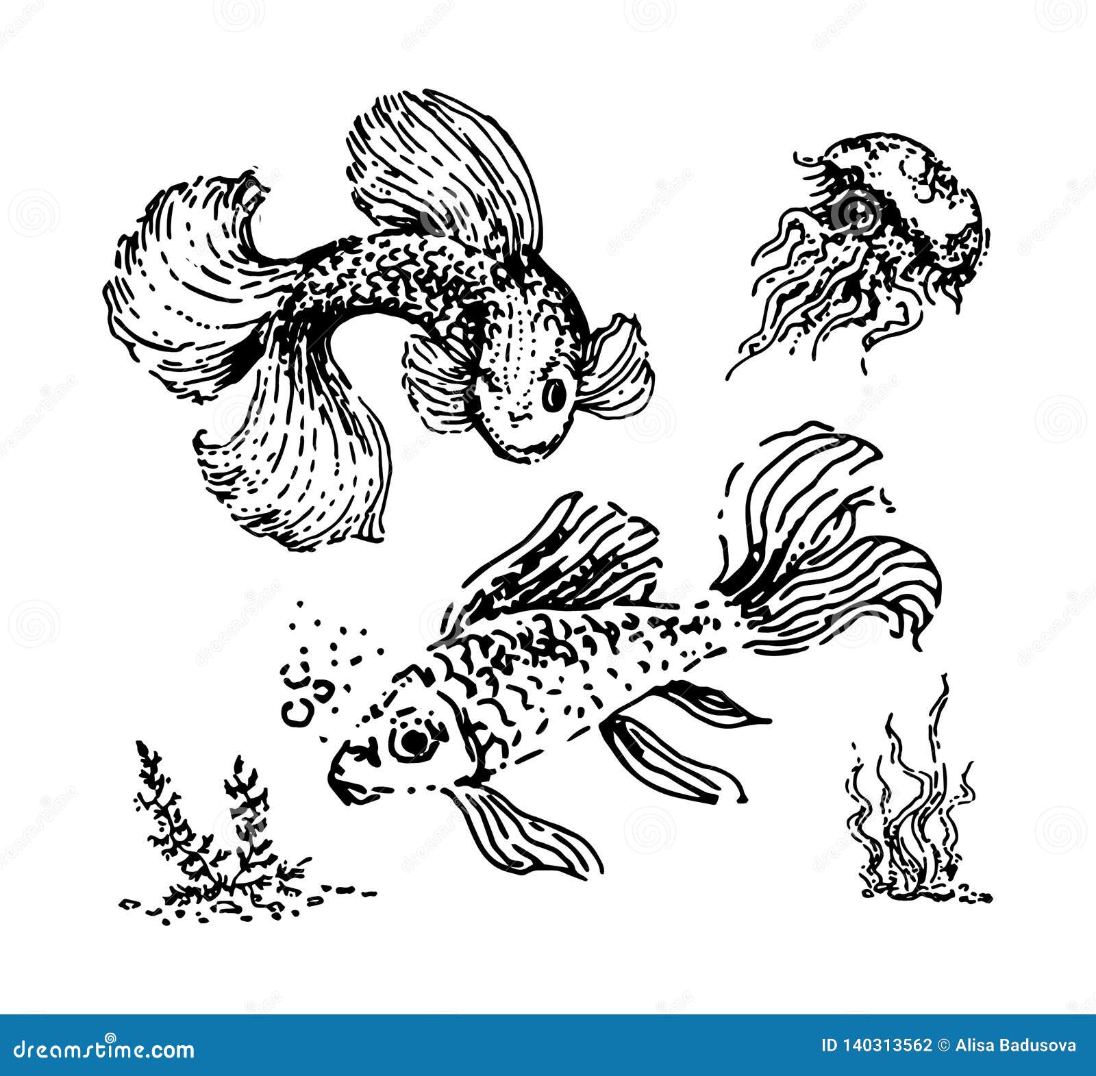 Vector Hand Drawn Sketch Of Fish Illustration On White Background ...