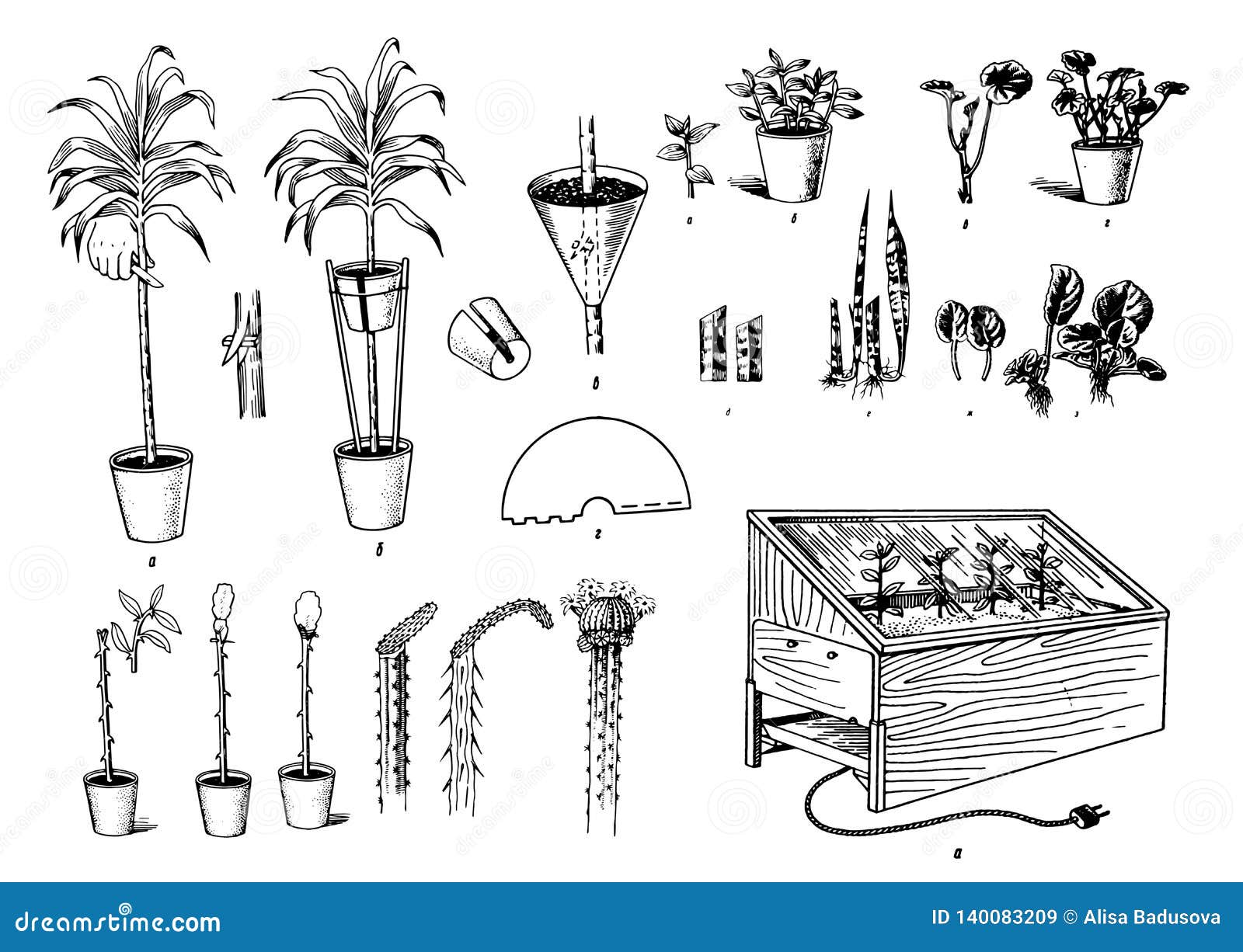 Vector Hand Drawn Sketch of Plants Care Process Illustration on White ...