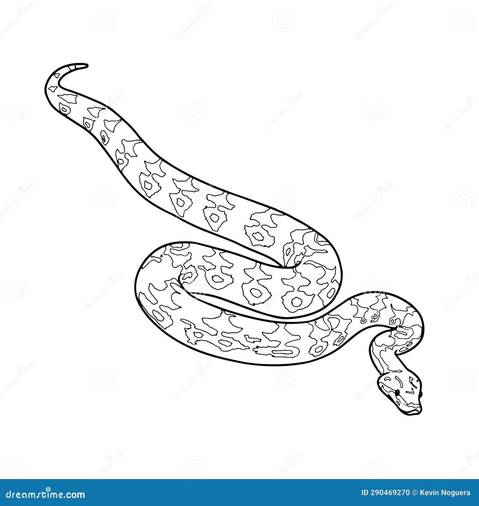 Vector Hand Drawn Snake Moving Outline Illustration Stock Illustration ...