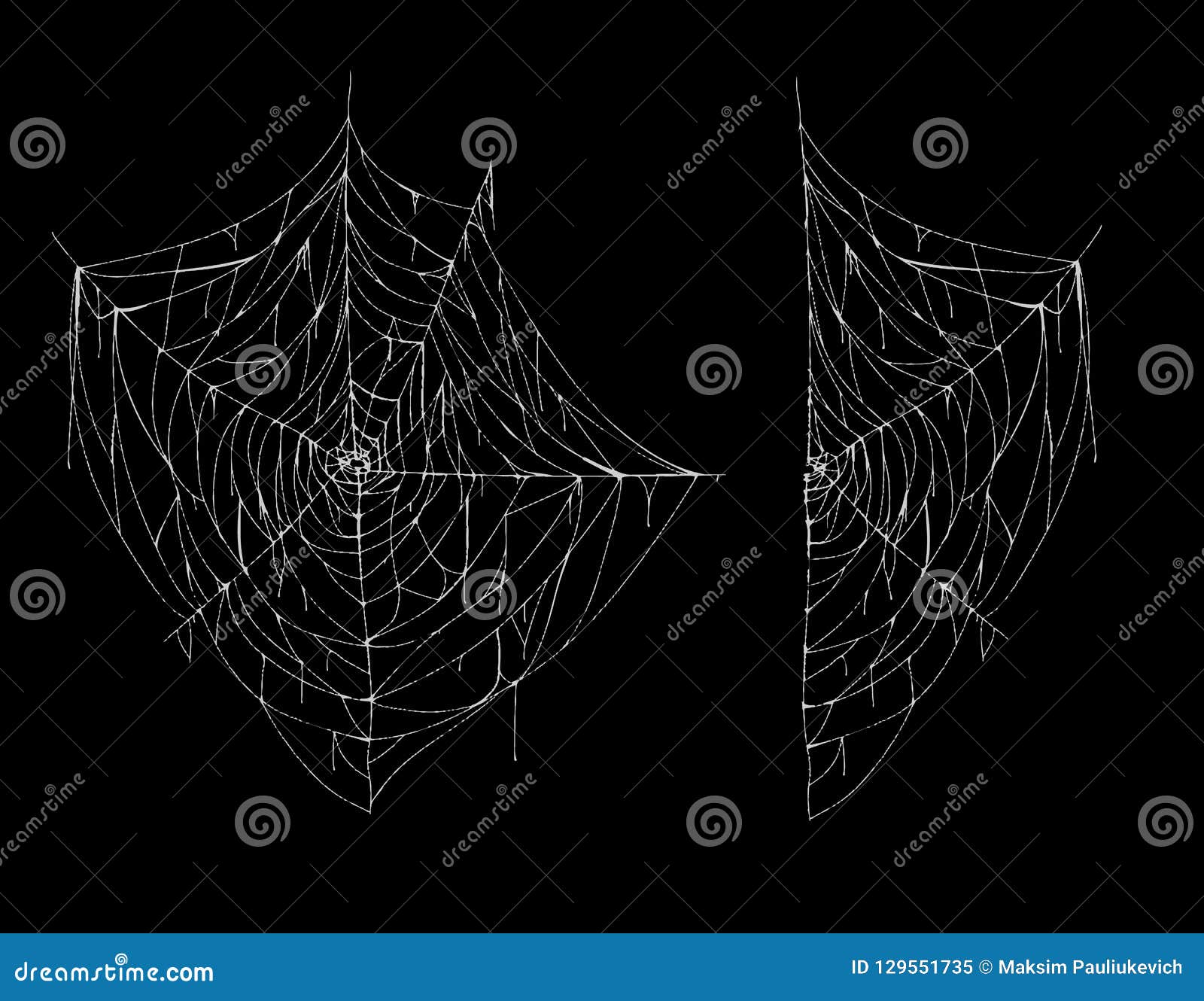 Vector Hand Drawn Spiderweb, White Spooky Cobweb Stock Vector ...