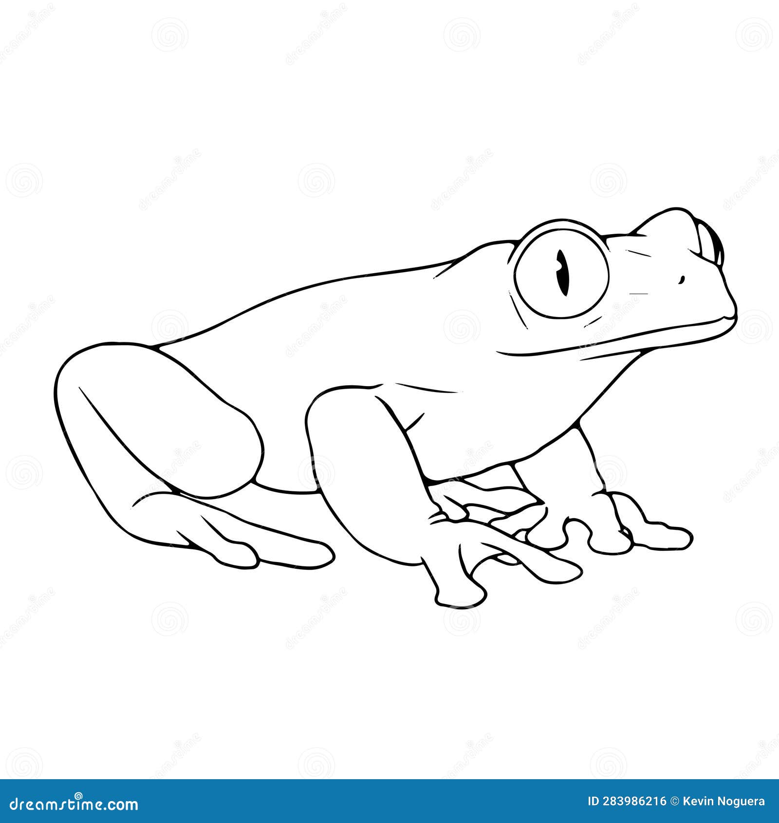 Frog Outline. Abstract Frog On White Background. Toad Vector ...