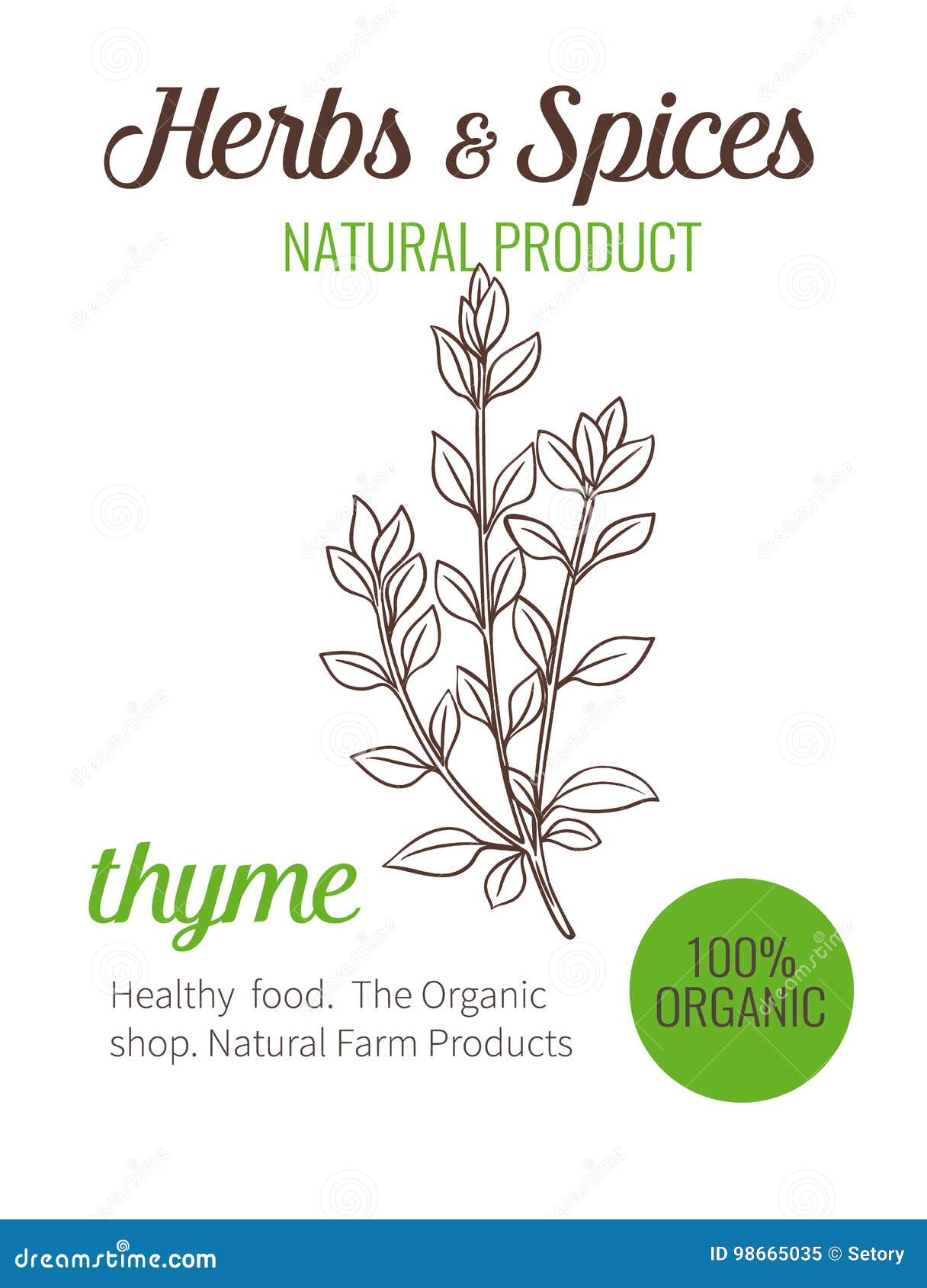 Vector hand drawn thyme. stock vector. Illustration of floral - 98665035