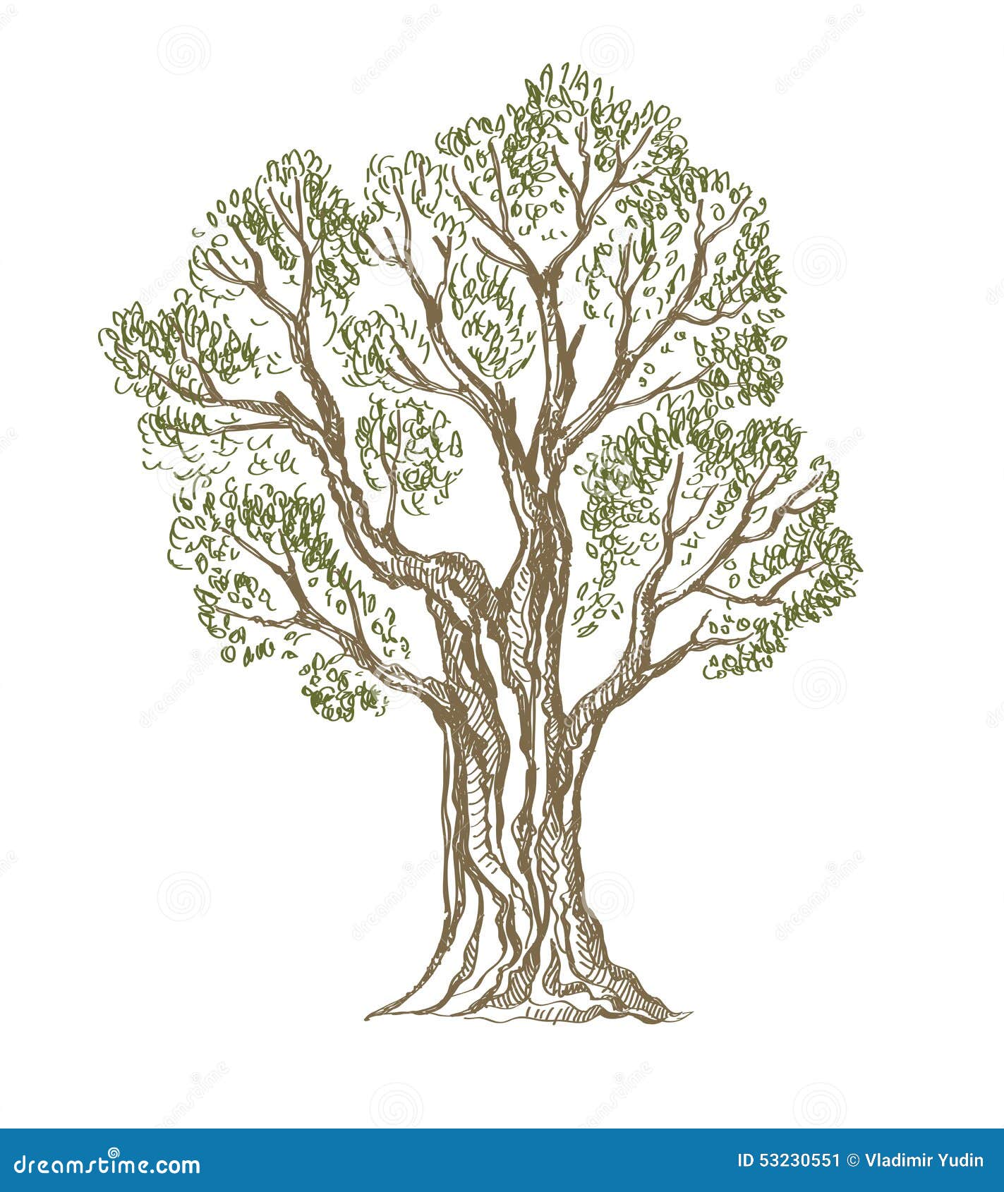 Vector hand drawn Tree stock vector. Illustration of concept - 53230551