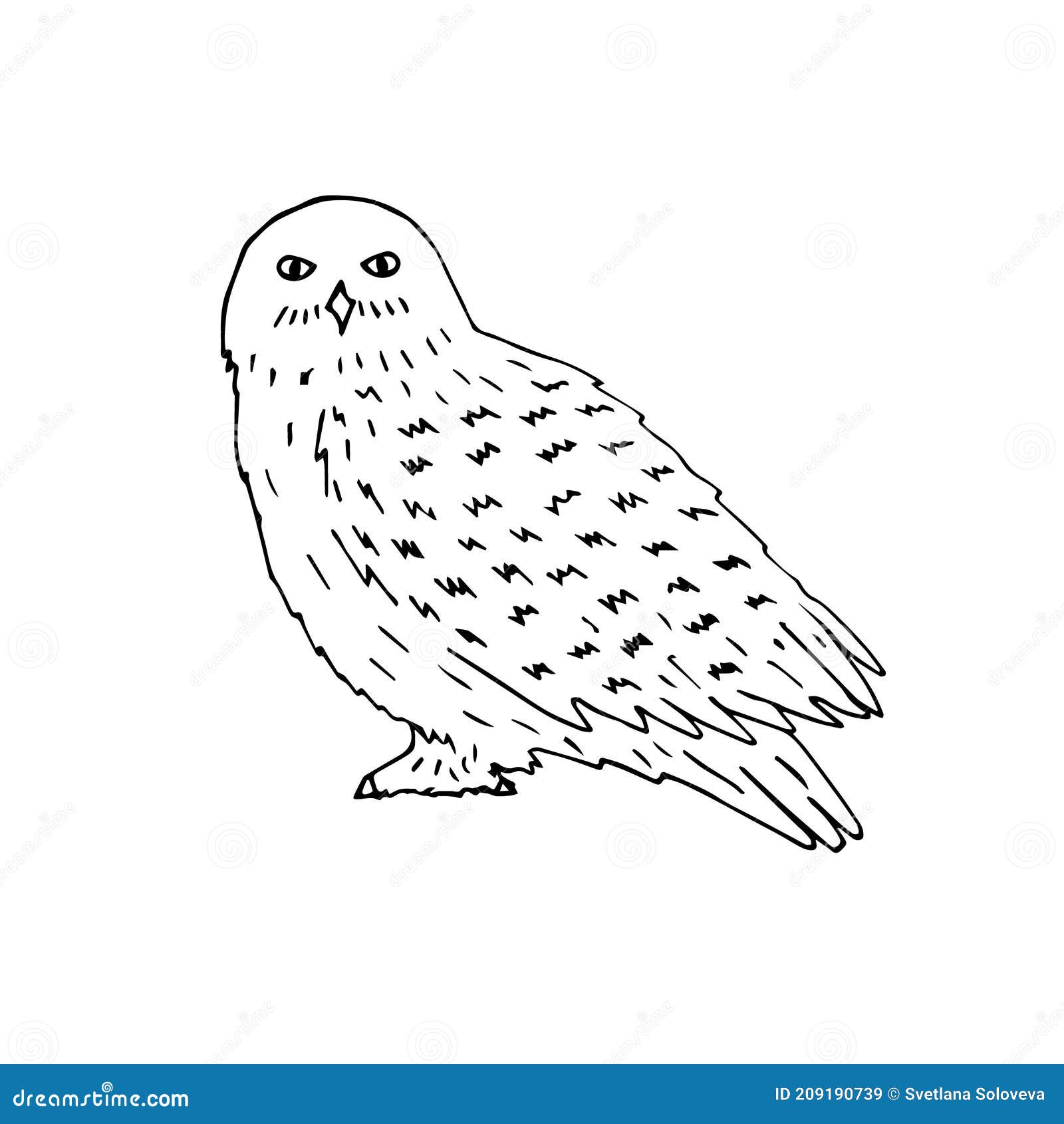 Snowy Owl Line Drawing