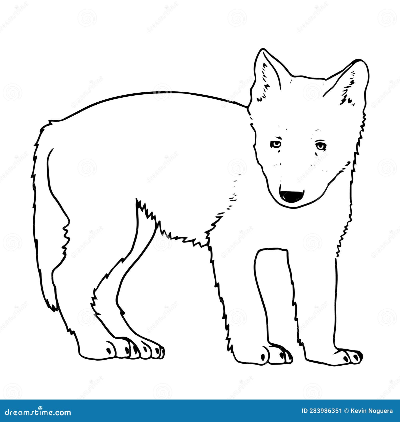 Vector Hand Drawn Wolf Cub Outline Illustration Stock Vector ...