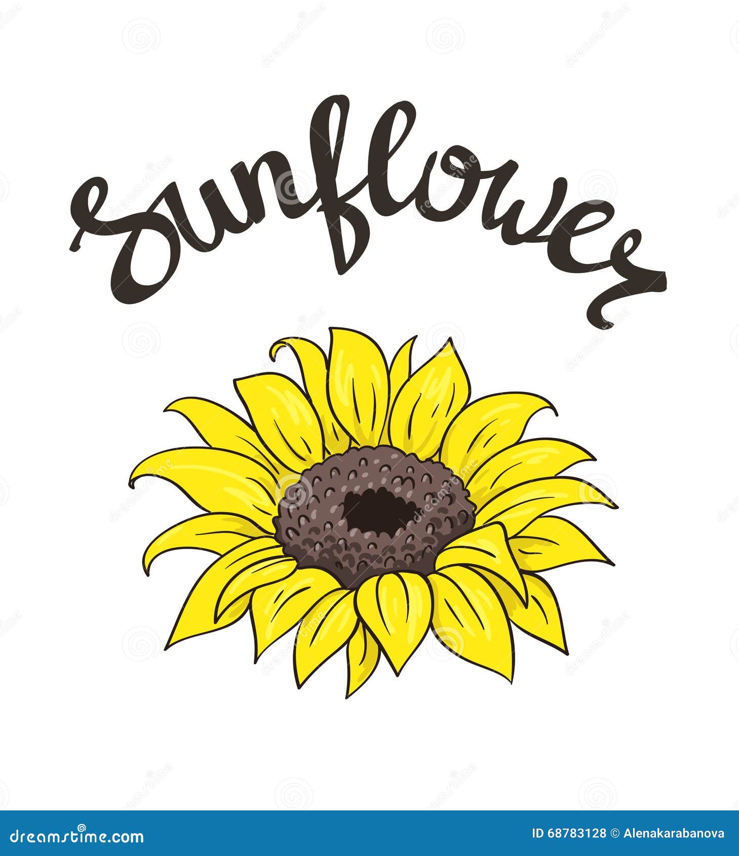 Vector Hand Drawn Yellow Sunflower On The White Background With ...