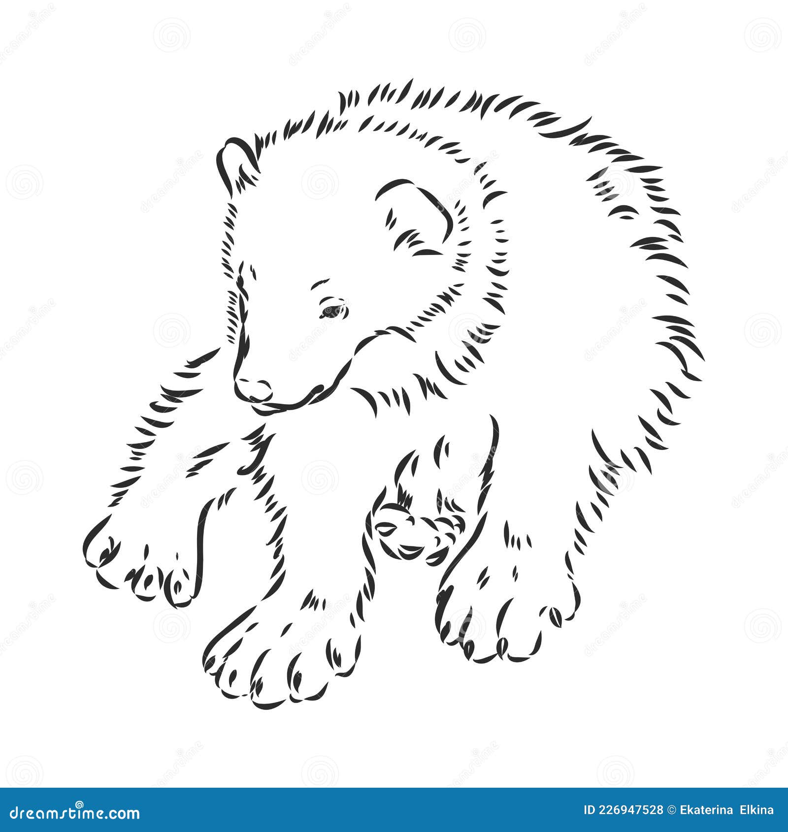 Vector Hand Sketch Drawing Illustration of a Wolverine Done in Black ...