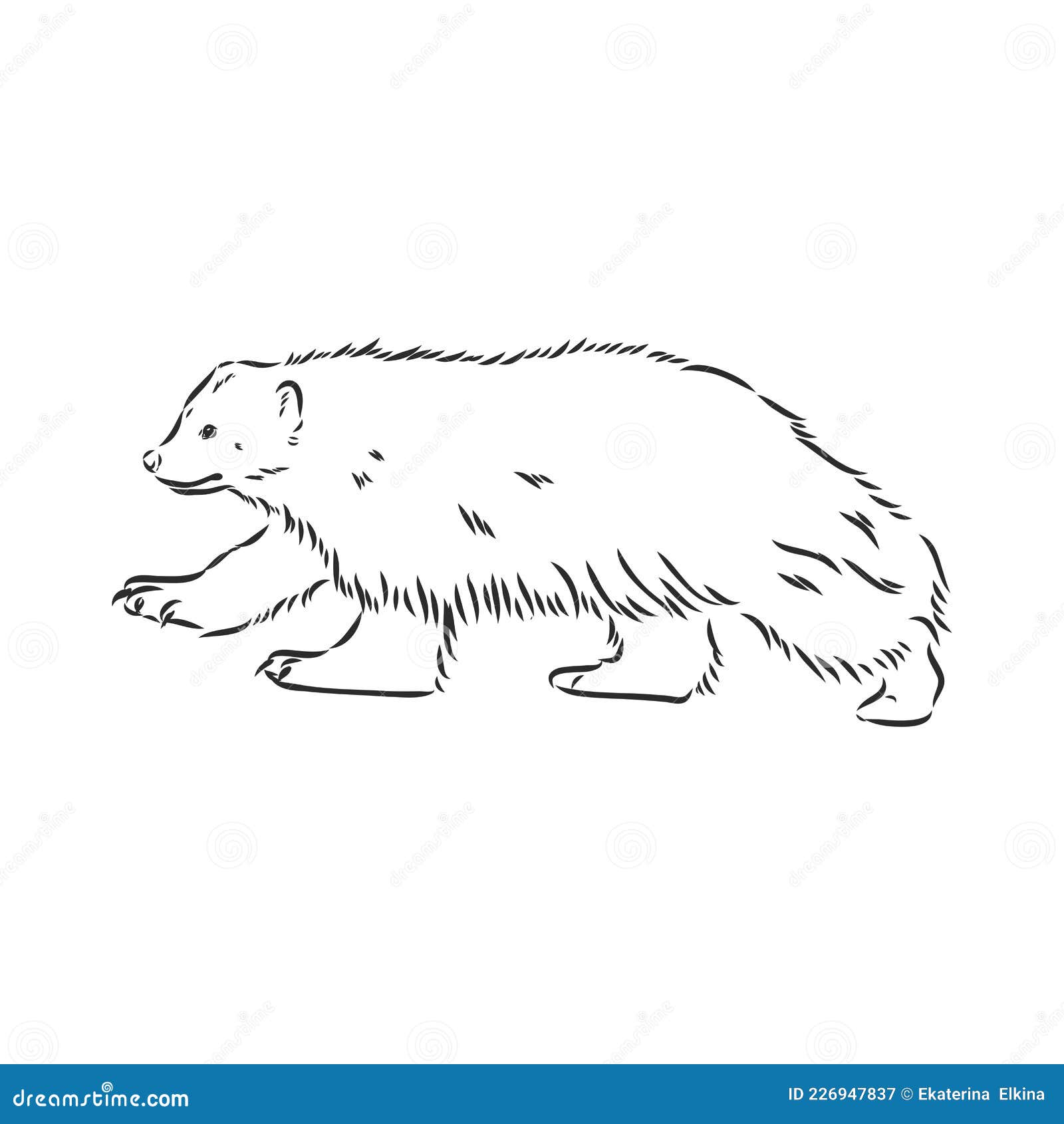 Vector Wolverine Silhouette View Side For Retro Logos, Emblems, Badges ...