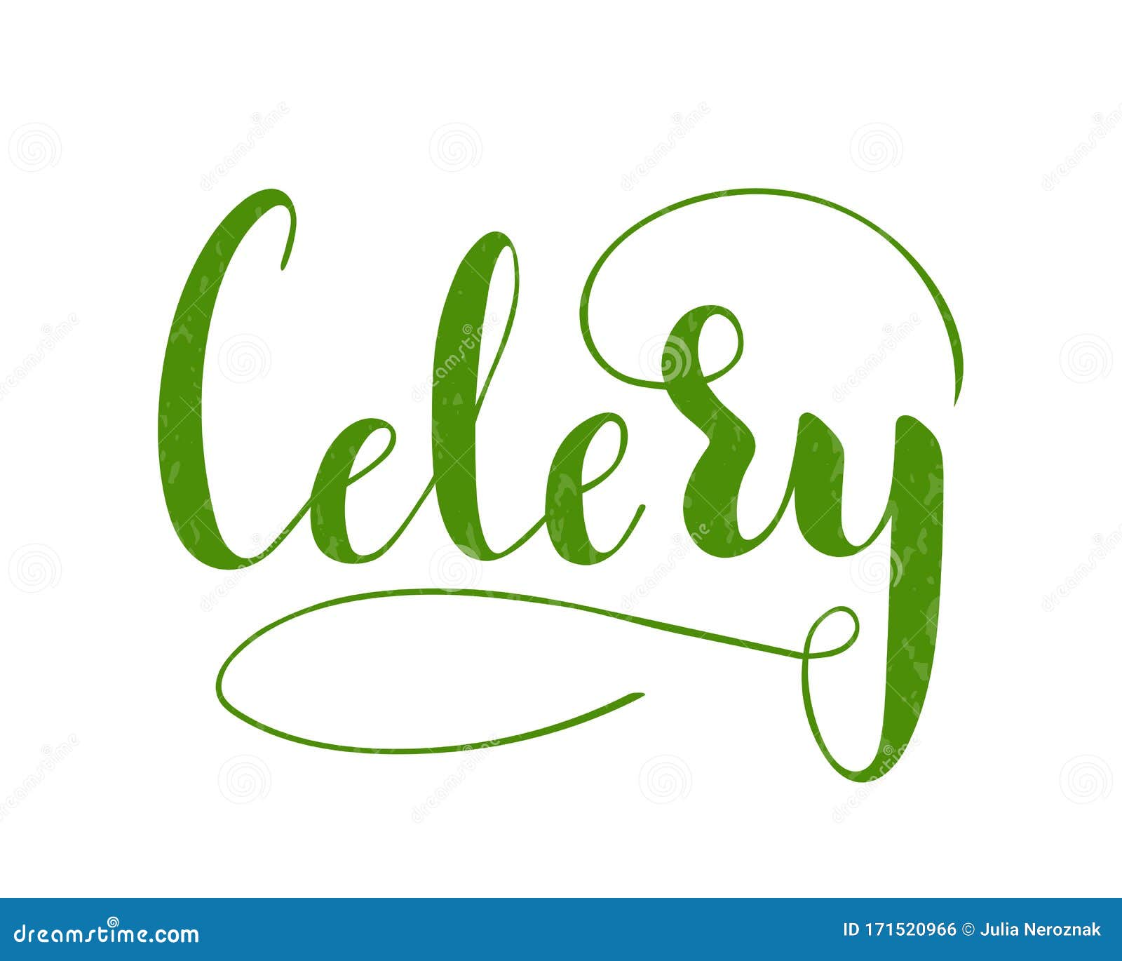 Vector Hand Written Celery Text Isolated on White Background Stock ...
