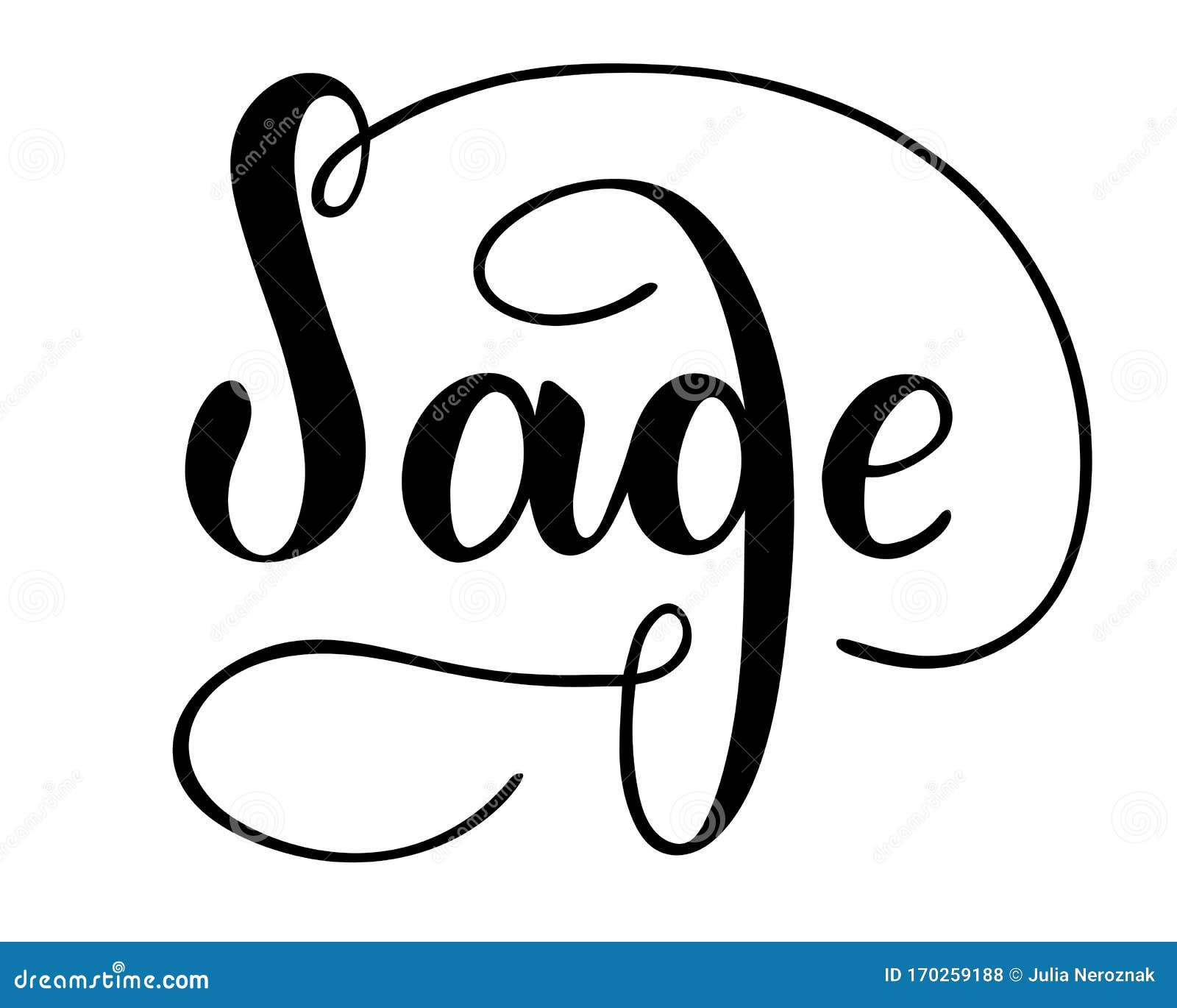 Vector Hand Written Sage Text Isolated on White Background Stock Vector ...