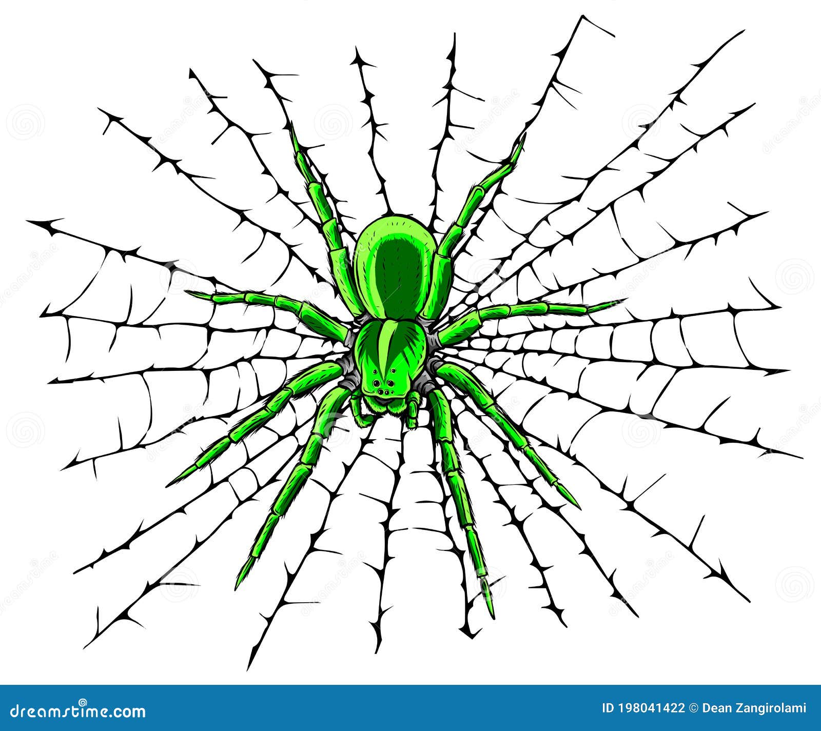 Vector Illustration Hanging Spider on Web Thread Stock Vector ...