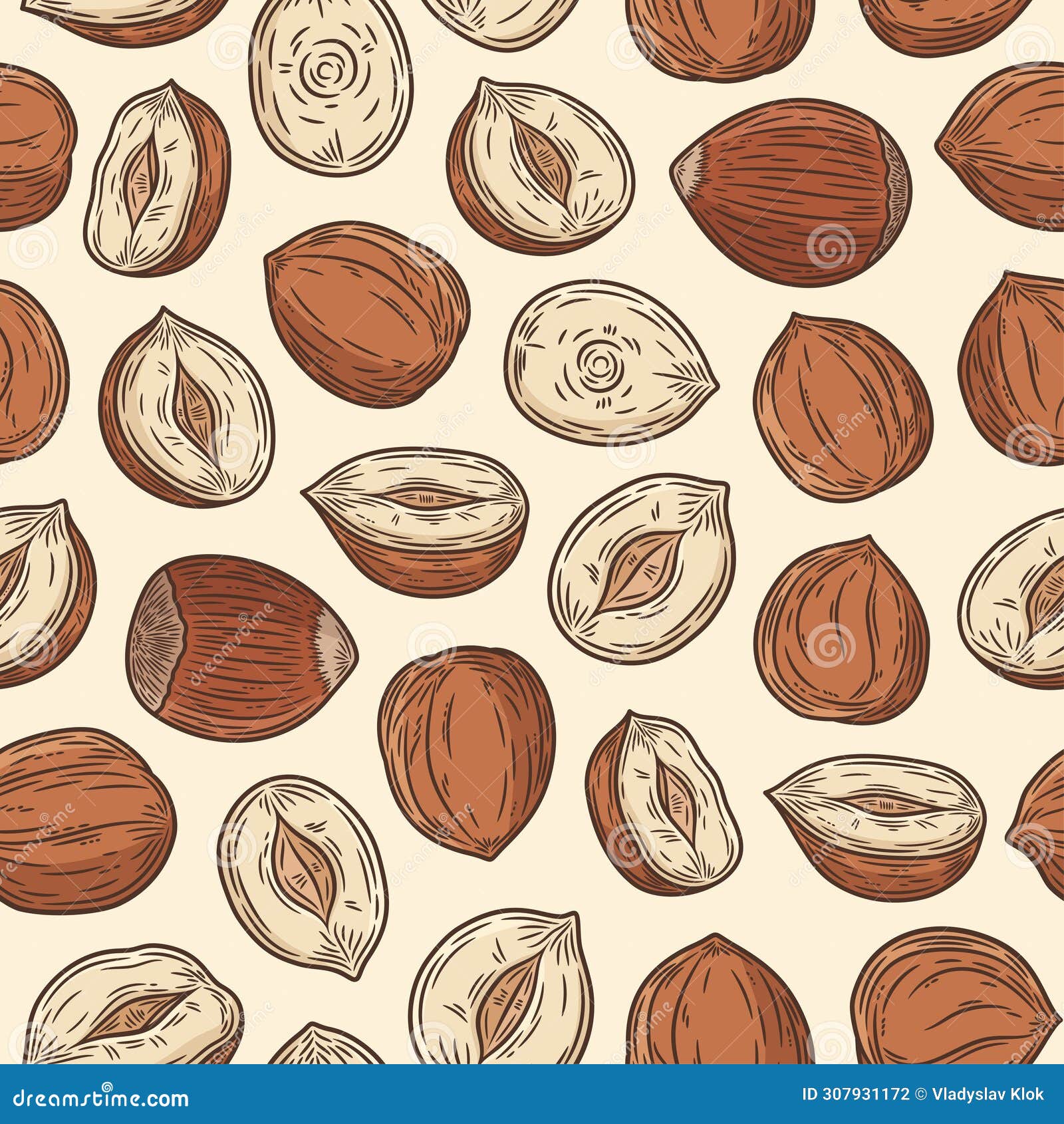 Vector Hazelnut Colorful Seamless Pattern Stock Photo - Image of sketch ...