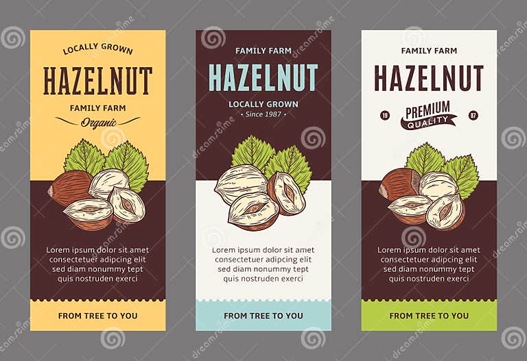 Vector Hazelnut Labels in Modern Style Stock Vector - Illustration of ...