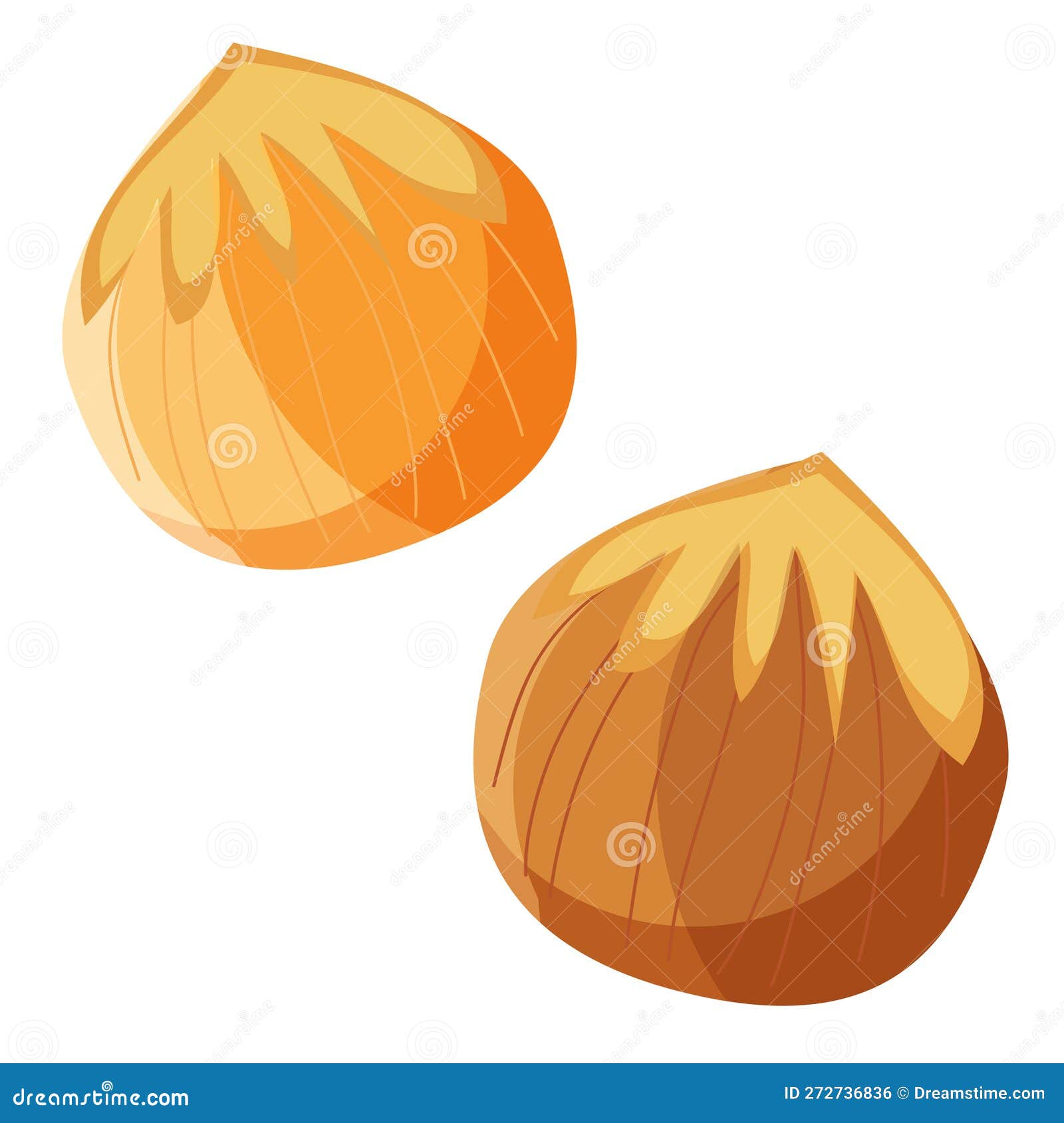 Vector Hazelnuts Illustration Stock Vector - Illustration of autumn ...