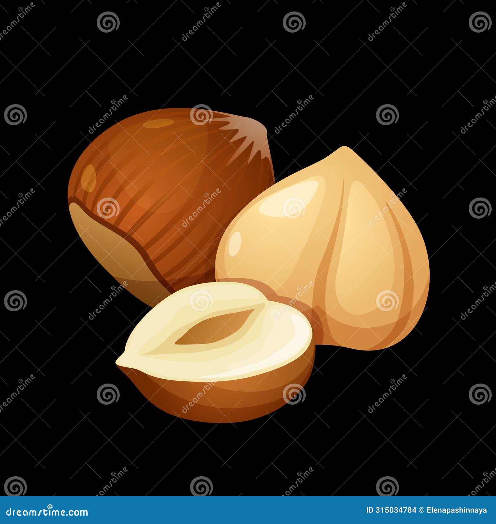 Vector Hazelnuts Isolated on a Dark Background Stock Vector ...