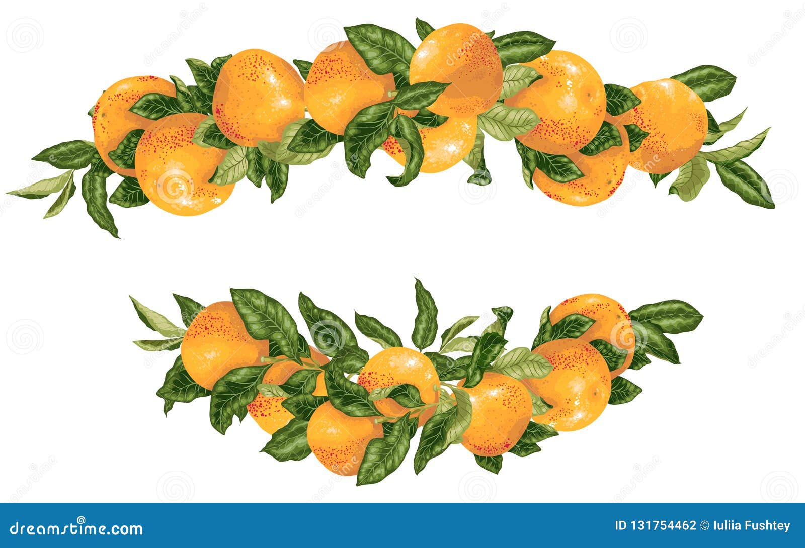 Vector Headline Decor Elementwith Grapefruit Citrus Branches in ...