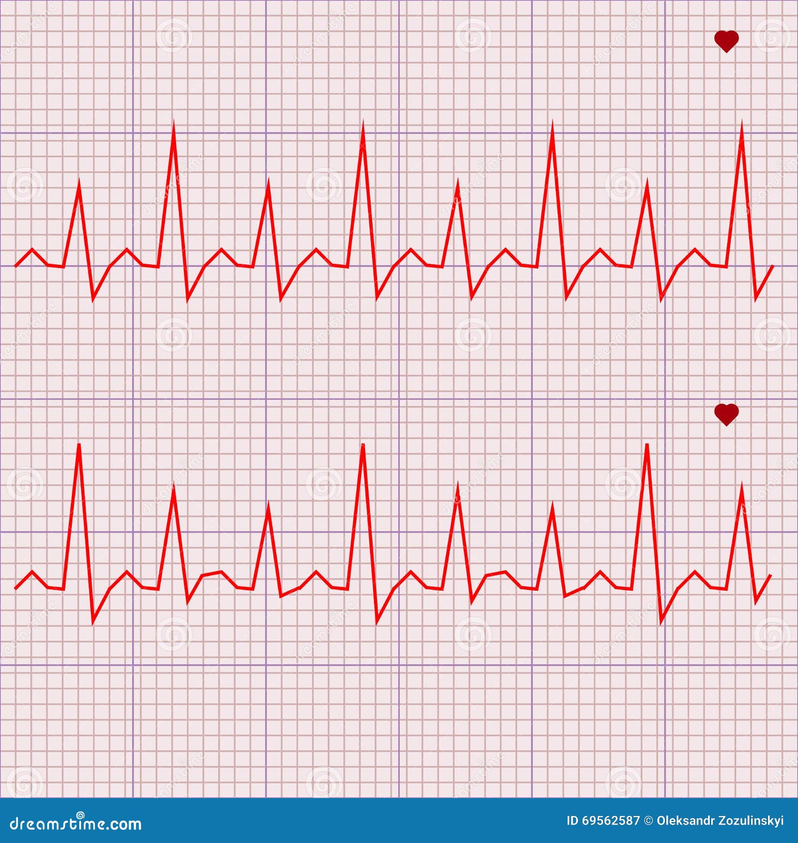 Vector Heart Beats Cardiogram Stock Vector Illustration Of Healthy