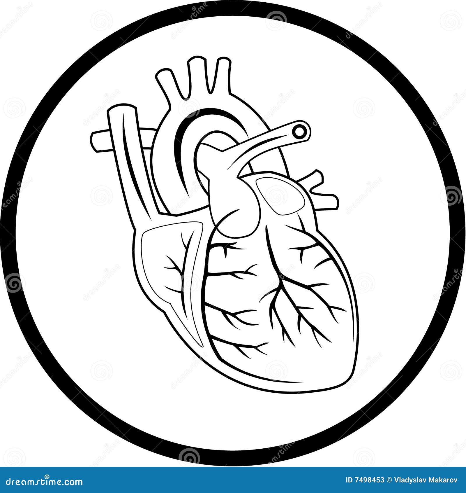 Real Heart Outline Png