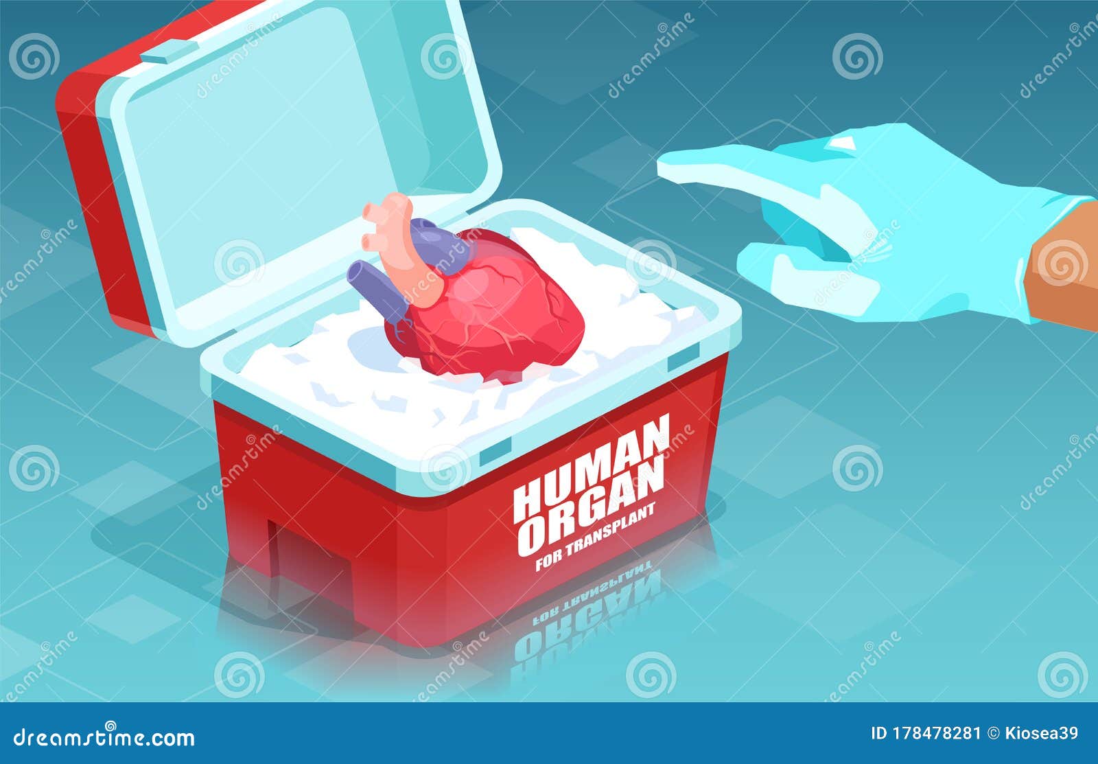 Heart Surgeon With Blank Information Banner Vector Stock Image ...