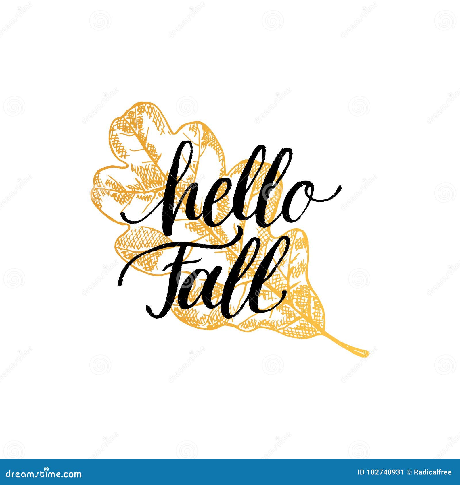 Vector Hello Fall Hand Lettering. Oak Leaf Illustration on White ...