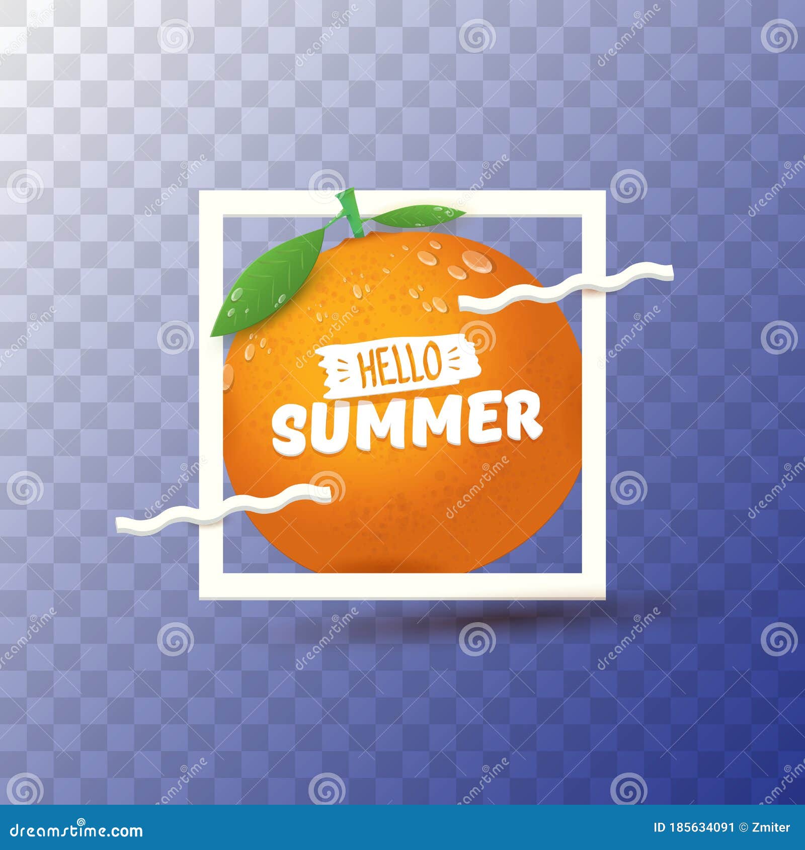 Vector Hello Summer Party Label or Flyer Design Template with Fresh ...