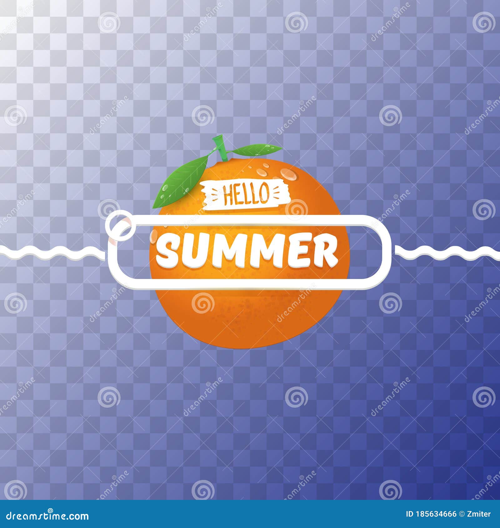 Vector Hello Summer Party Label or Flyer Design Template with Fresh ...