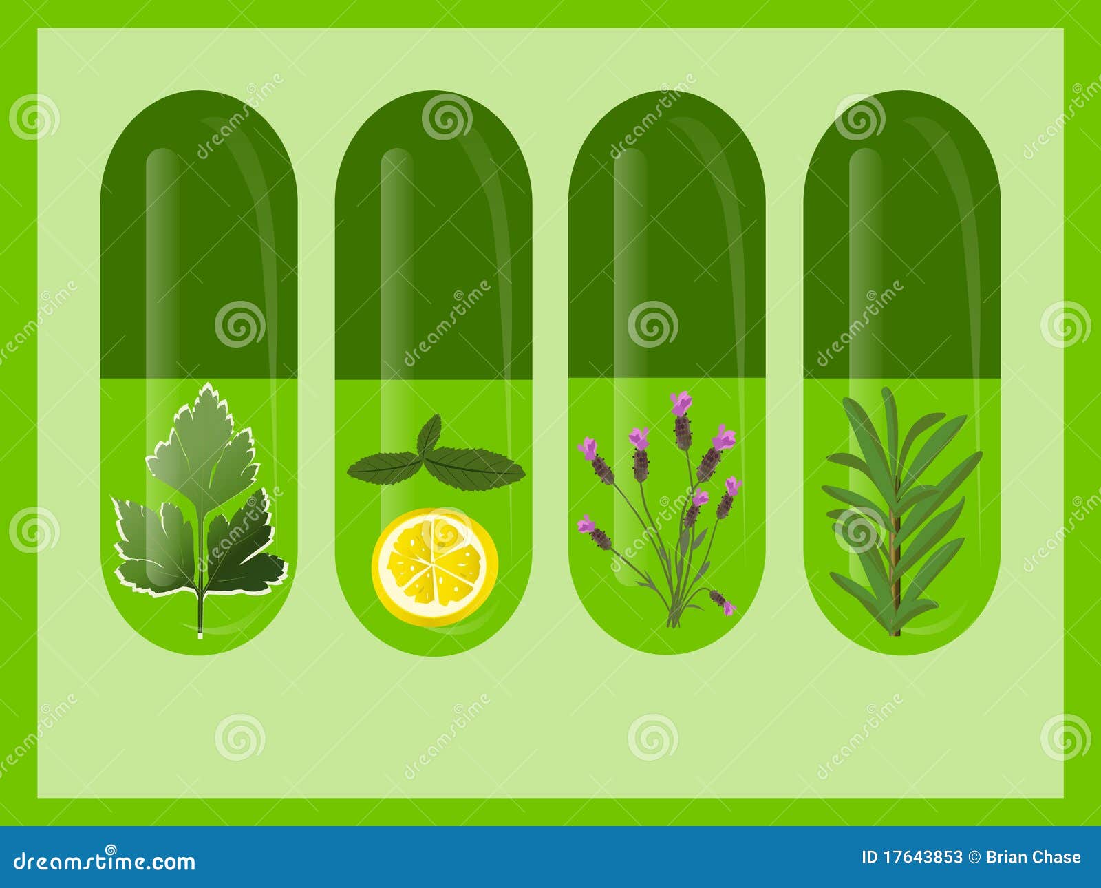 Vector Herbal Medicine stock illustration. Illustration of herb - 17643853