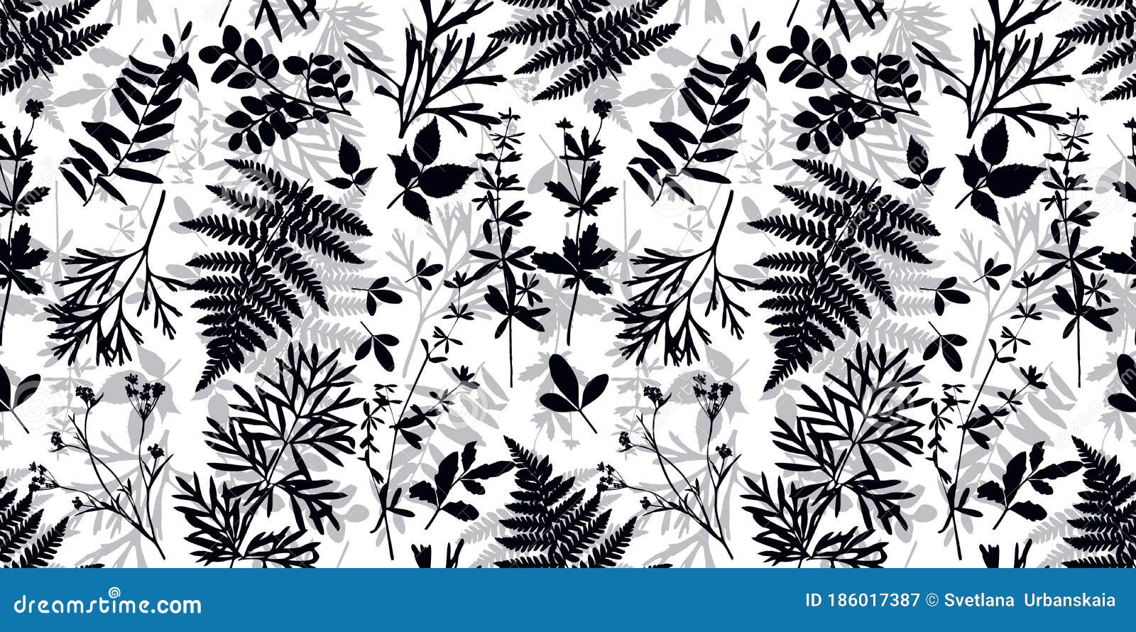 Vector Herbal Pattern. Seamless Floral Background for Packaging ...